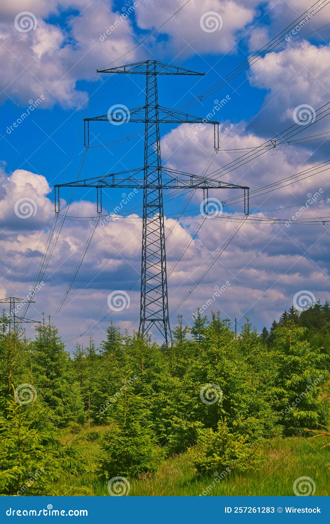 Vertical Shot of a High-voltage Direct Current in the Trees Stock Image ...