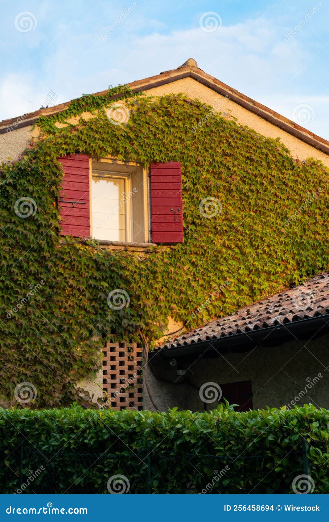 Vertical Shot of a House Covered in a Crawling Plant in the Sunset ...
