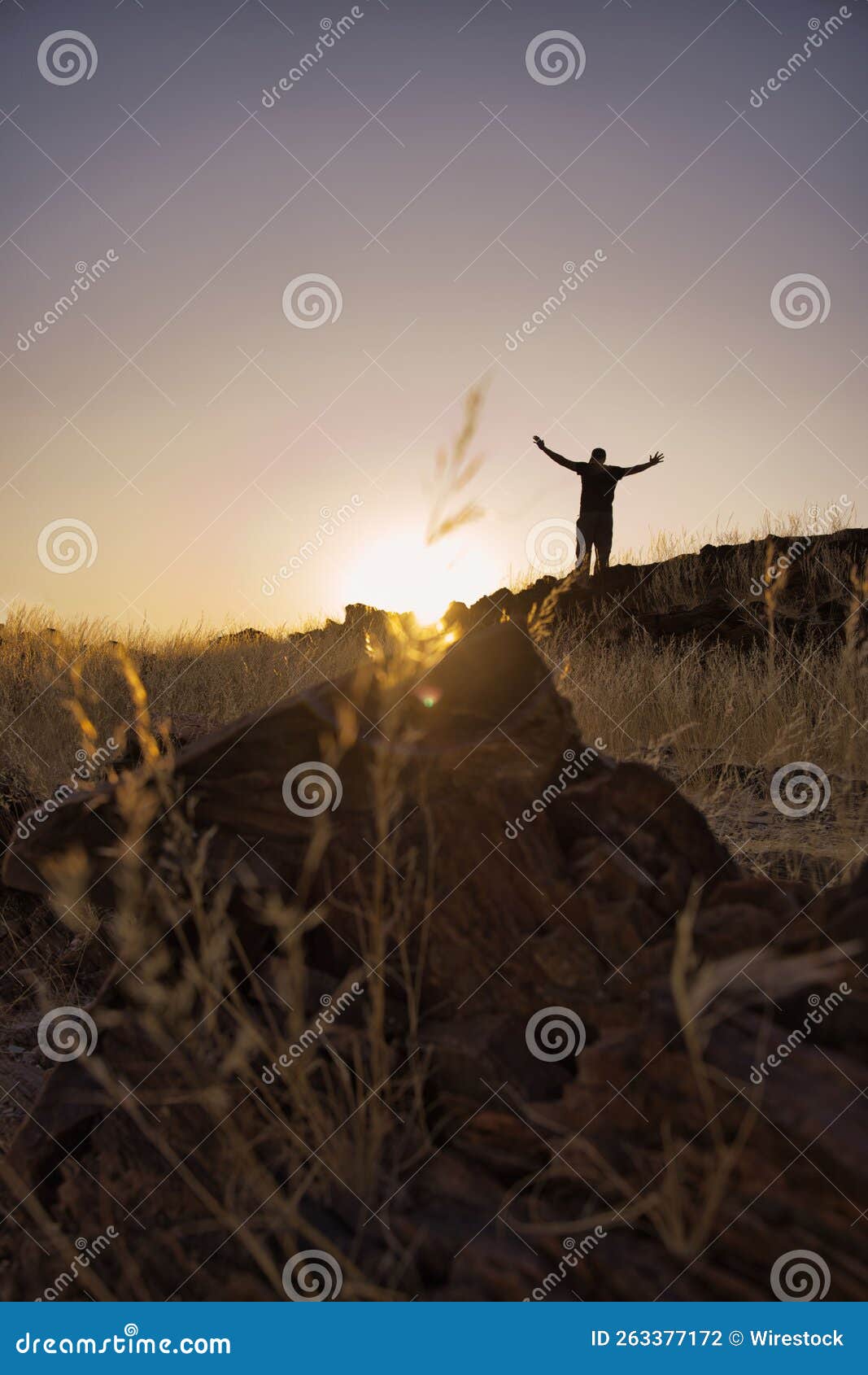 Vertical Shot of a Human Standing before the Sun - Freedom Concept ...
