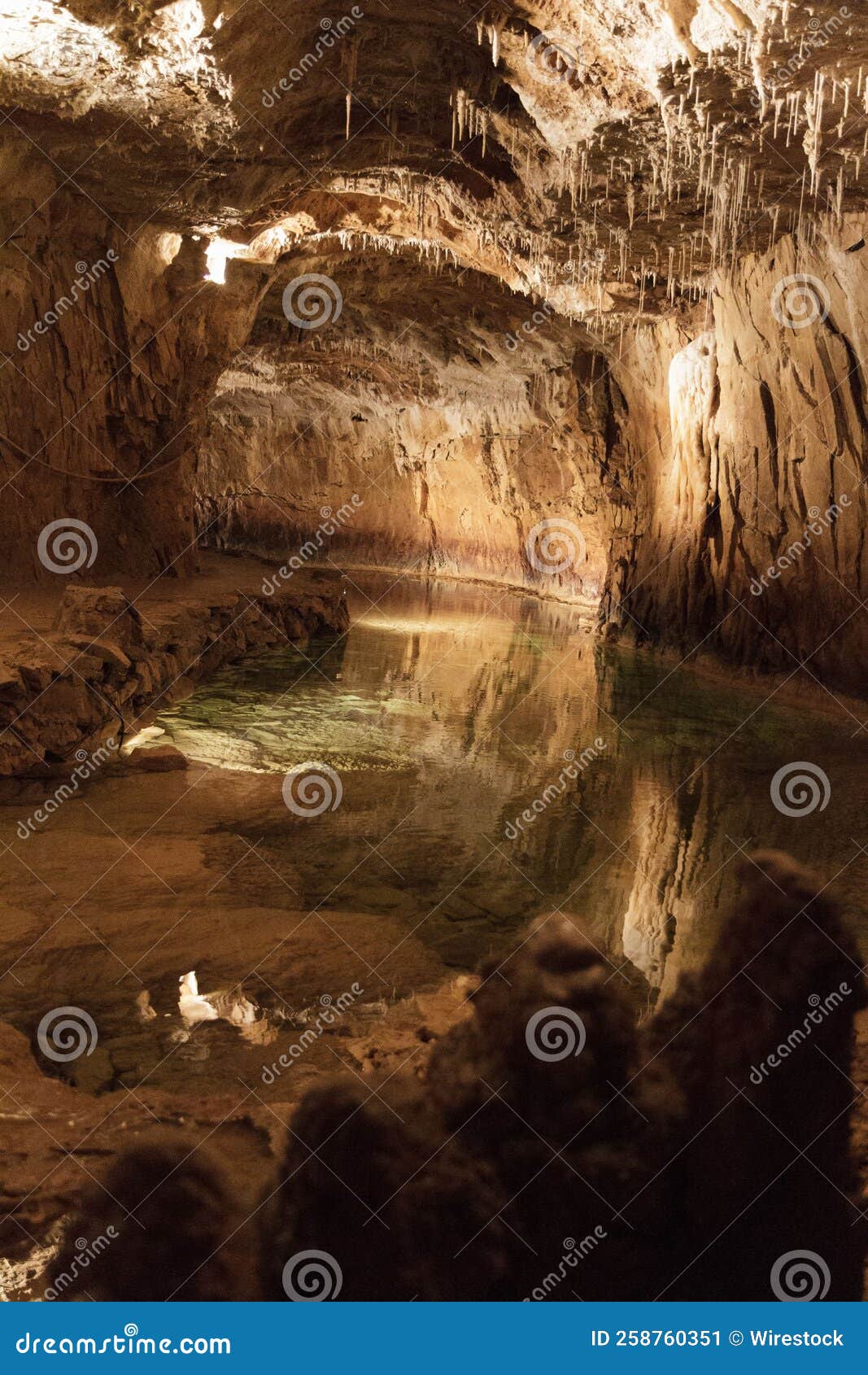 Vertical Shot of the Inside of a Cave with Stalagmites and Stalactites ...