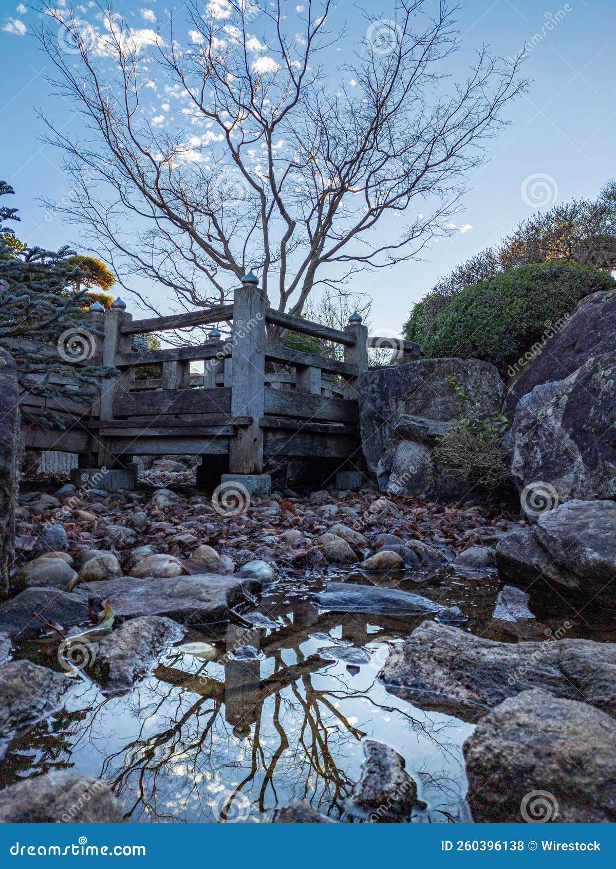 Vertical Shot of the Japanese Garden Stock Photo - Image of water ...