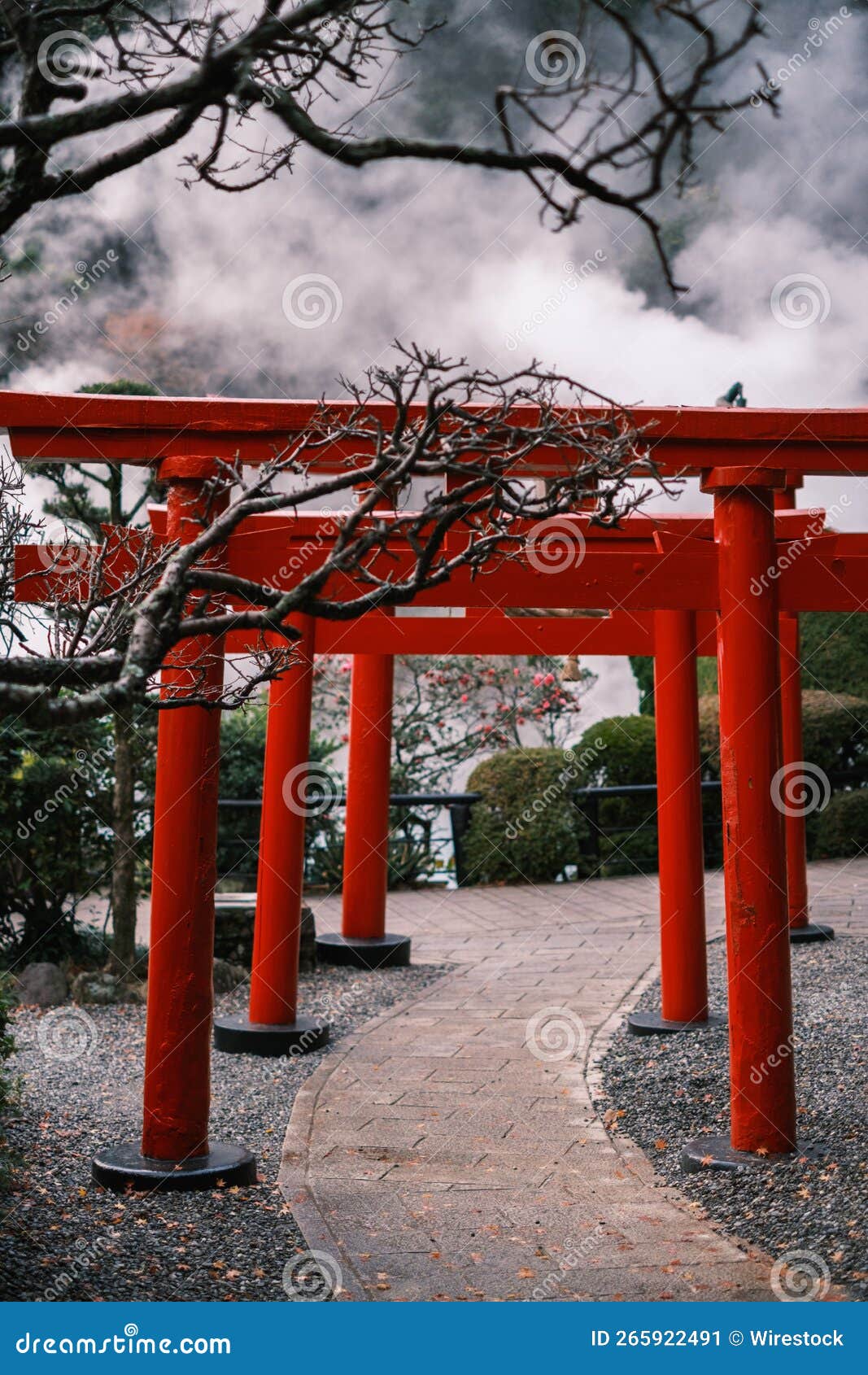 Vertical Shot of Japanese-styled Red Arches in a Park Stock Image ...