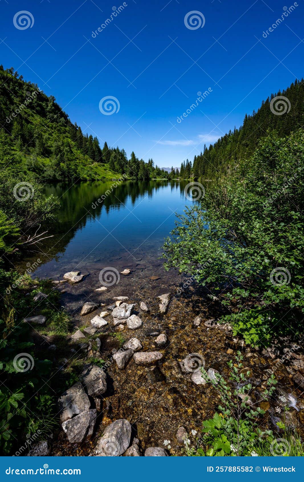 Vertical Shot of a Lake Reflecting the Environment Stock Photo - Image ...