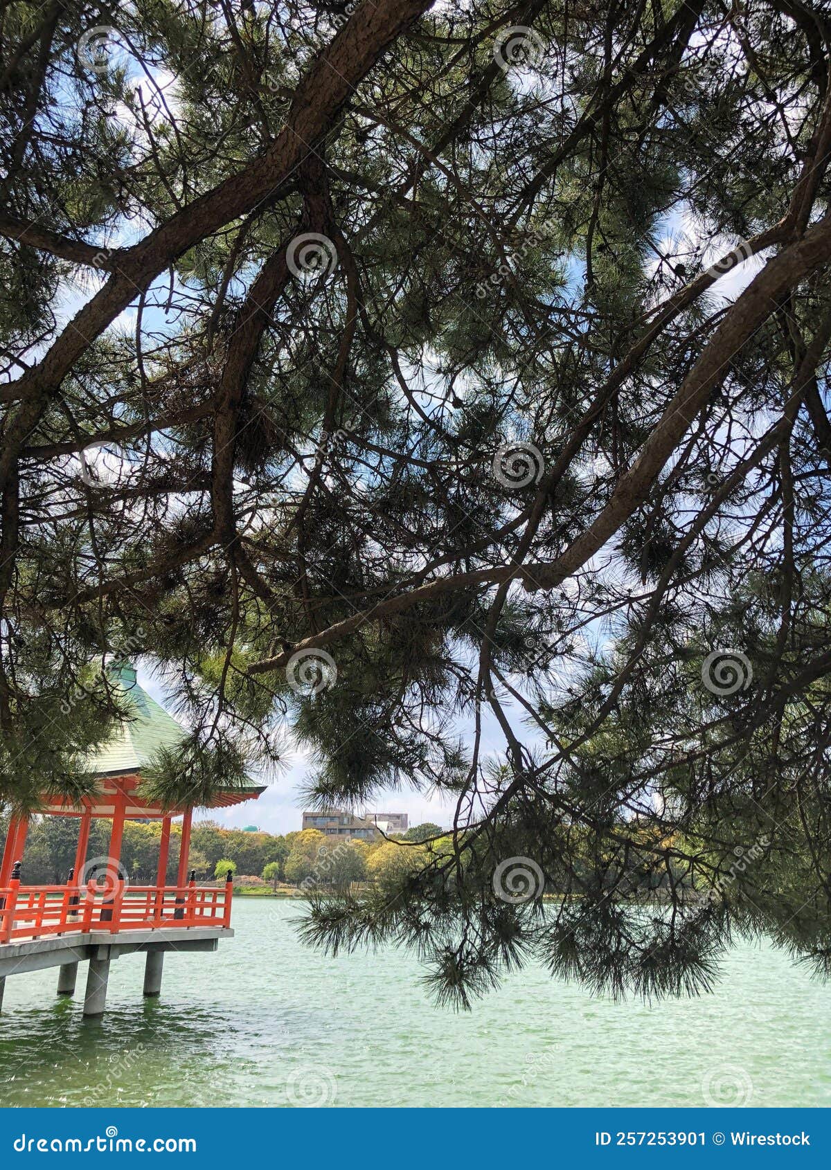 Vertical Shot of Large Tree Branches Above the Lake with a Pavilion on ...