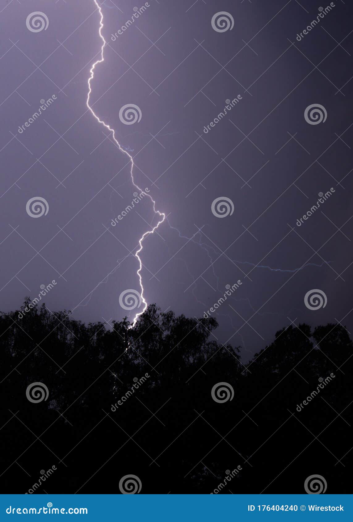 Vertical Shot of Lightning Hitting a Tree at Night with a Purple Sky ...