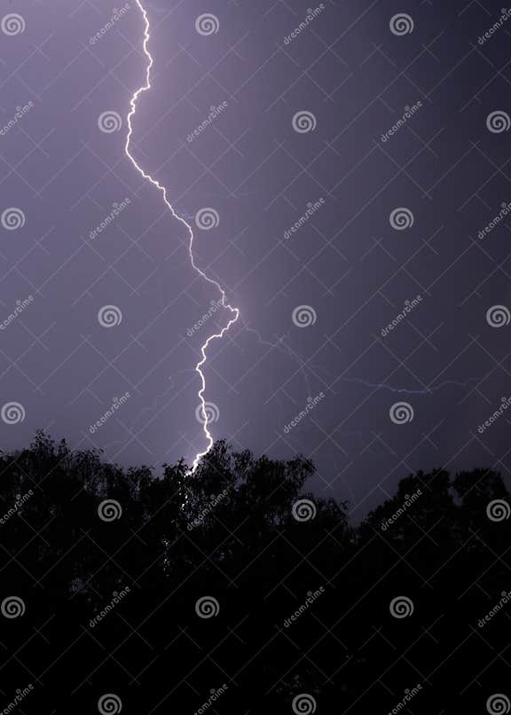 Vertical Shot of Lightning Hitting a Tree at Night with a Purple Sky ...
