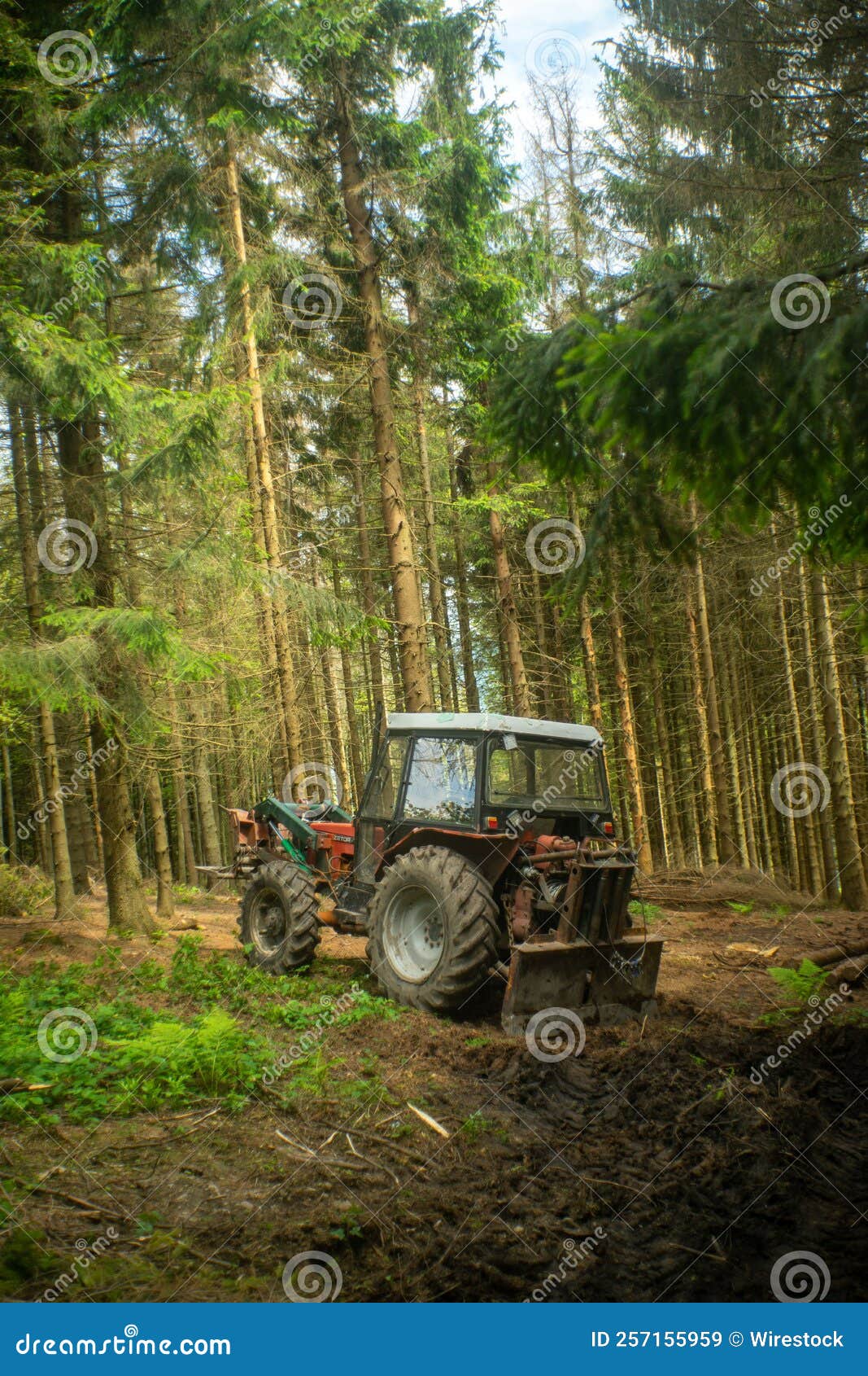 Vertical Shot of a Logging Tractor Parked in a Forest Editorial Stock ...