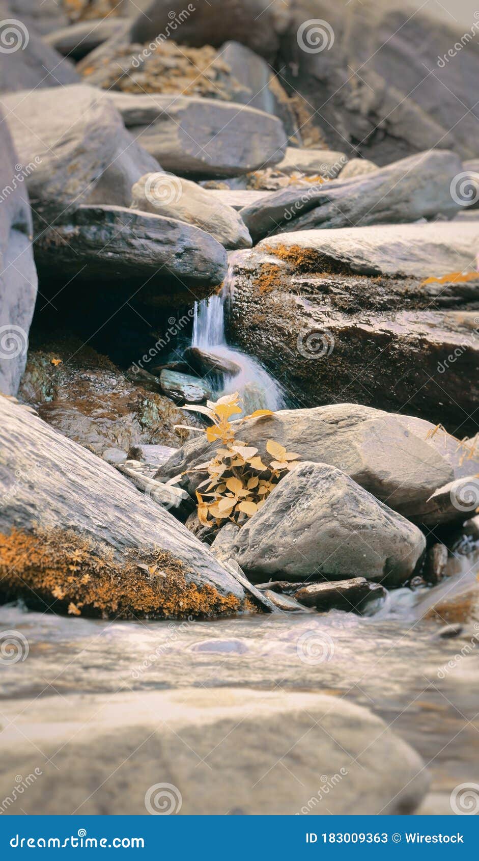 Vertical Shot of a Lot of Rock Formations in the River Stock Image ...