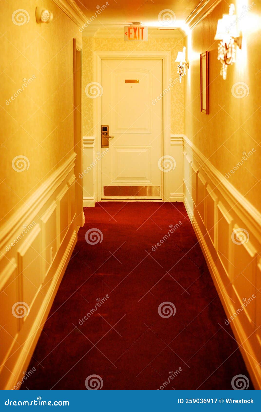 Vertical Shot of a Luxury Corridor with the Exit Sign Stock Image ...