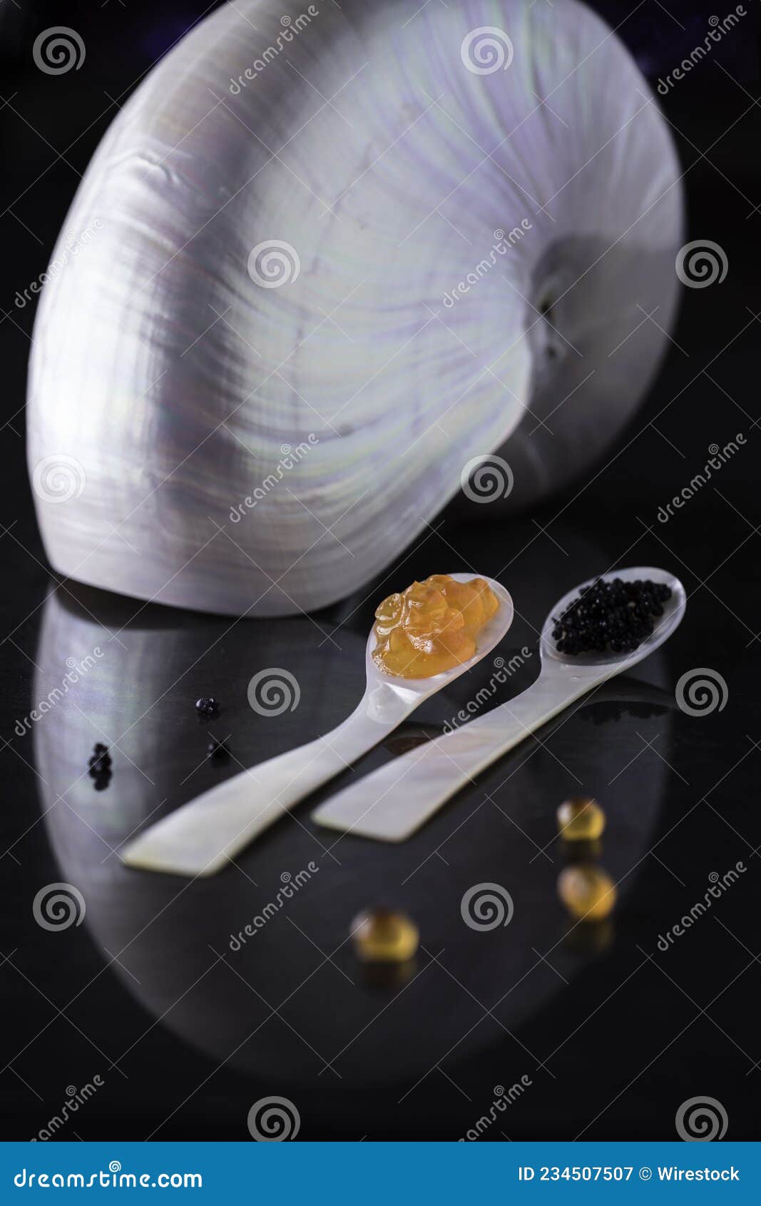 Vertical Shot of Macoma Shell and Two Spoons Made from Its Material ...