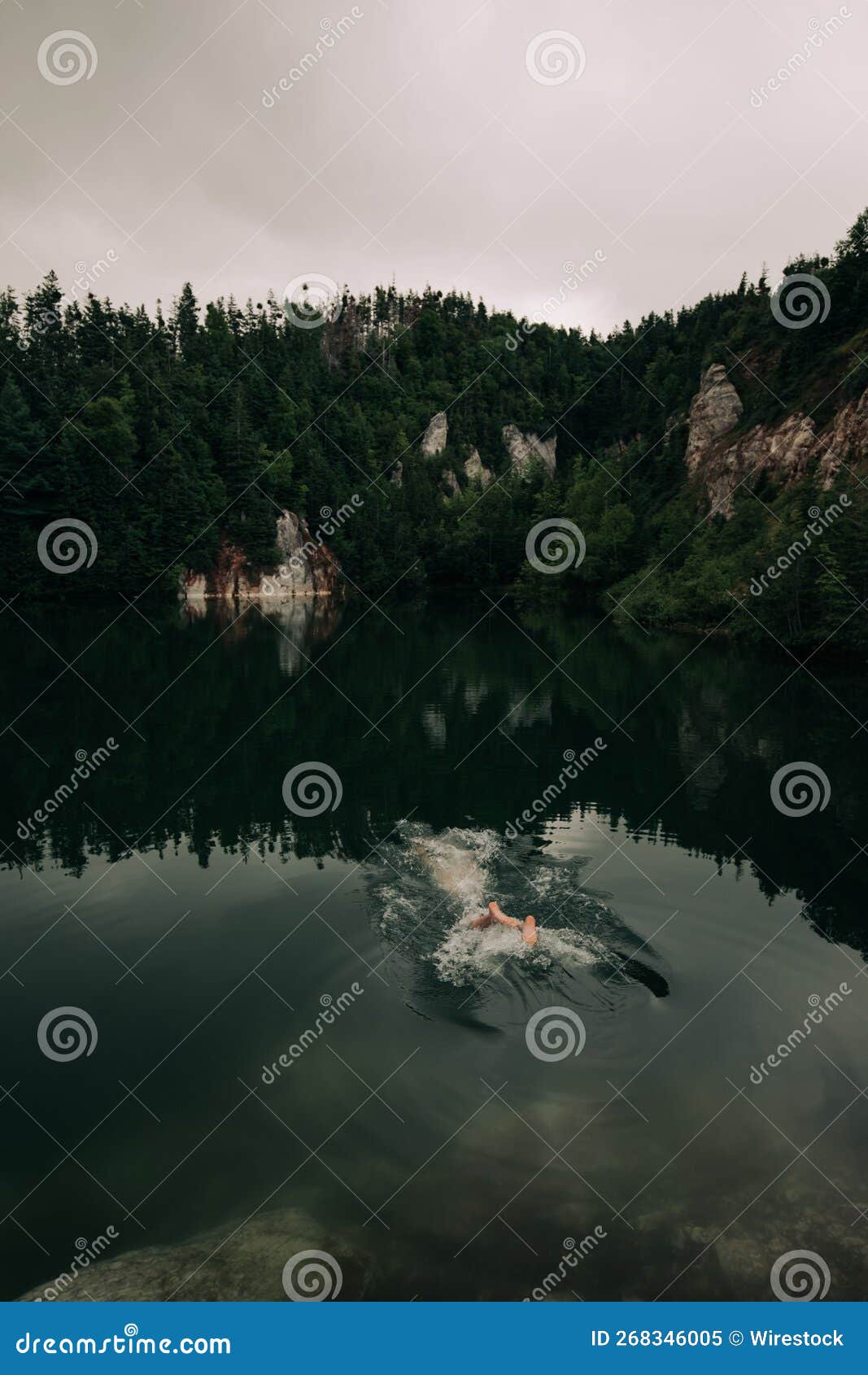 Vertical Shot of a Man Diving into a Lake Surrounded by Trees ...