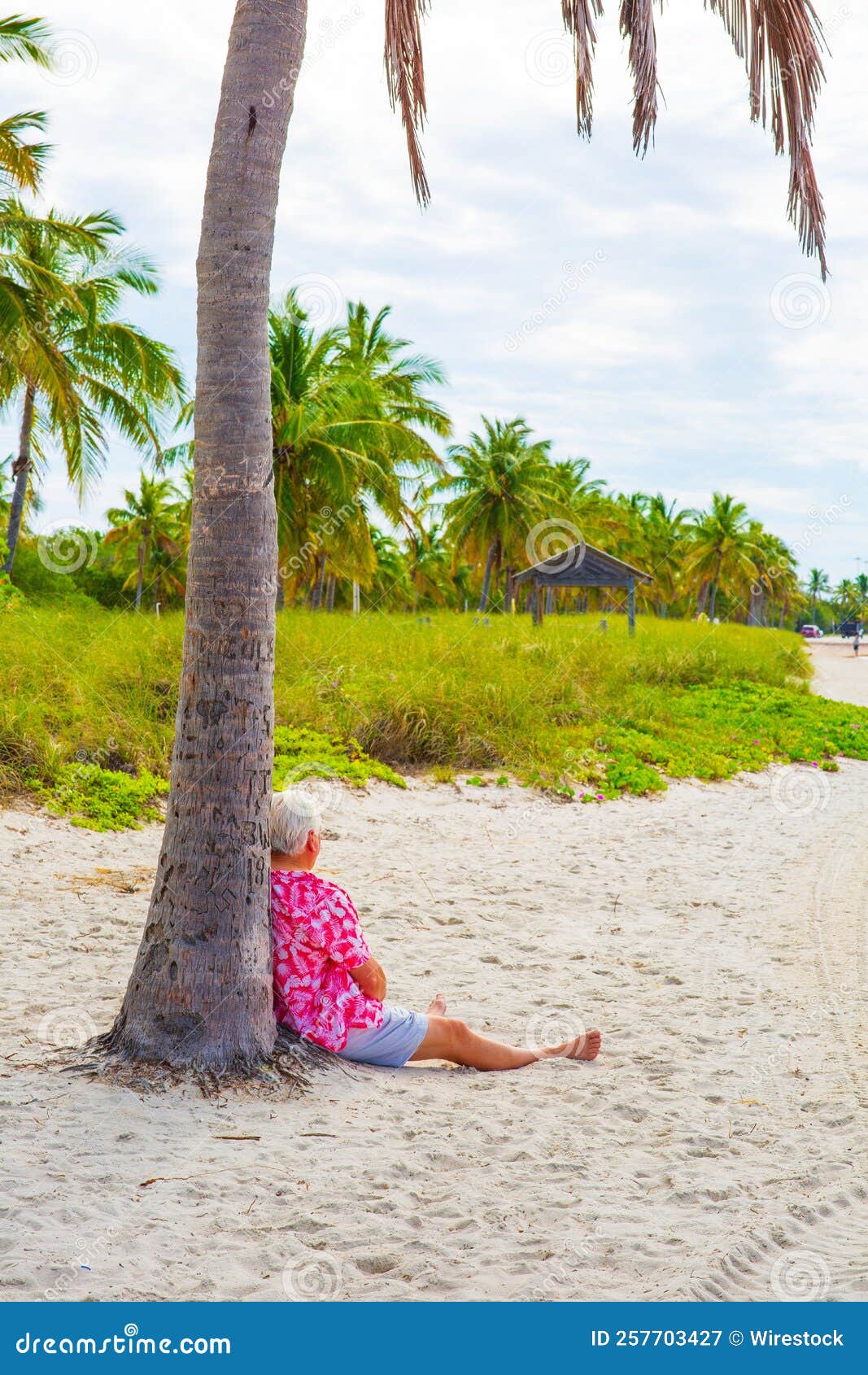 Vertical Shot of a Man Resting Under the Palm Tree Stock Image - Image ...