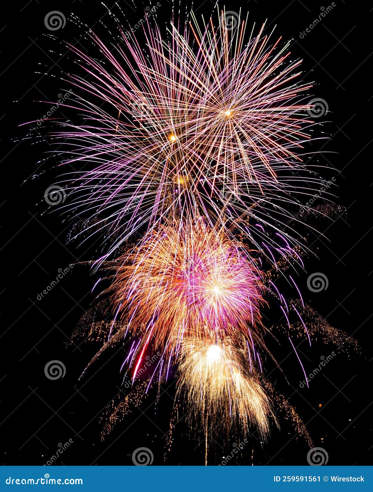 Vertical Shot of the Mesmerizing Exploding Fireworks in the Night Sky ... Vertical Shot of the Mesmerizing Exploding Fireworks in the Night Sky ...