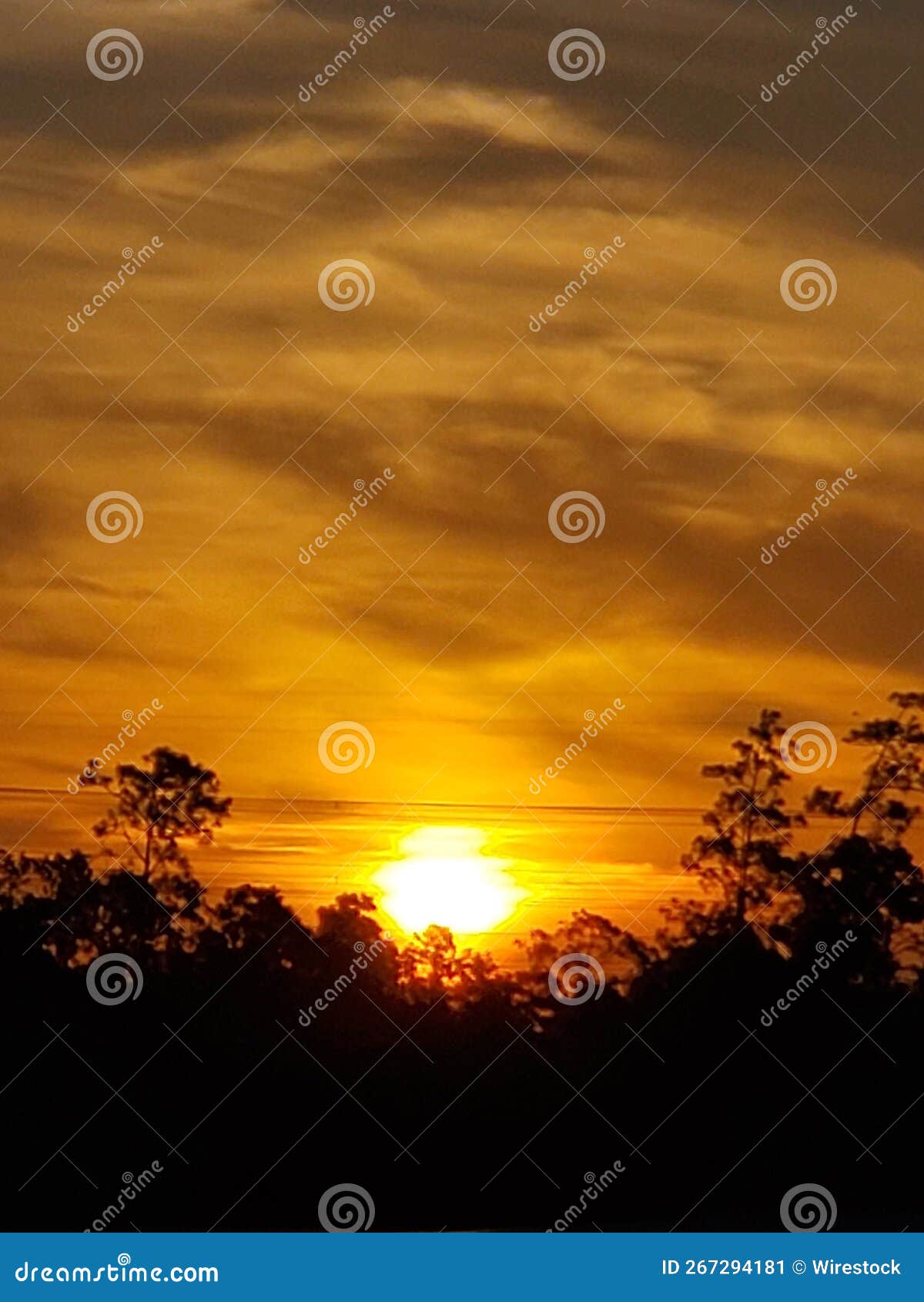 Vertical Shot of a Mesmerizing Golden Sunset with the Silhouette of ...