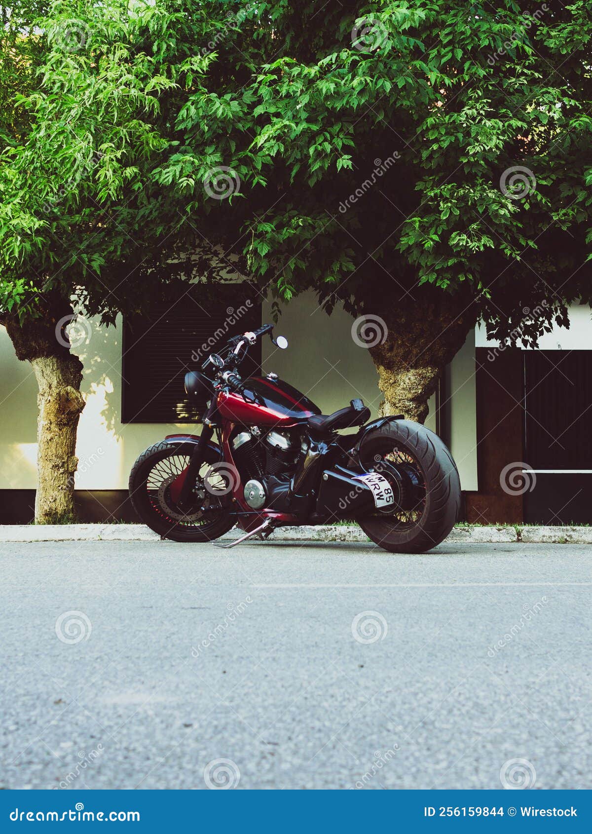 Vertical Shot of a Motorcycle Parked on Street with Trees in the ...