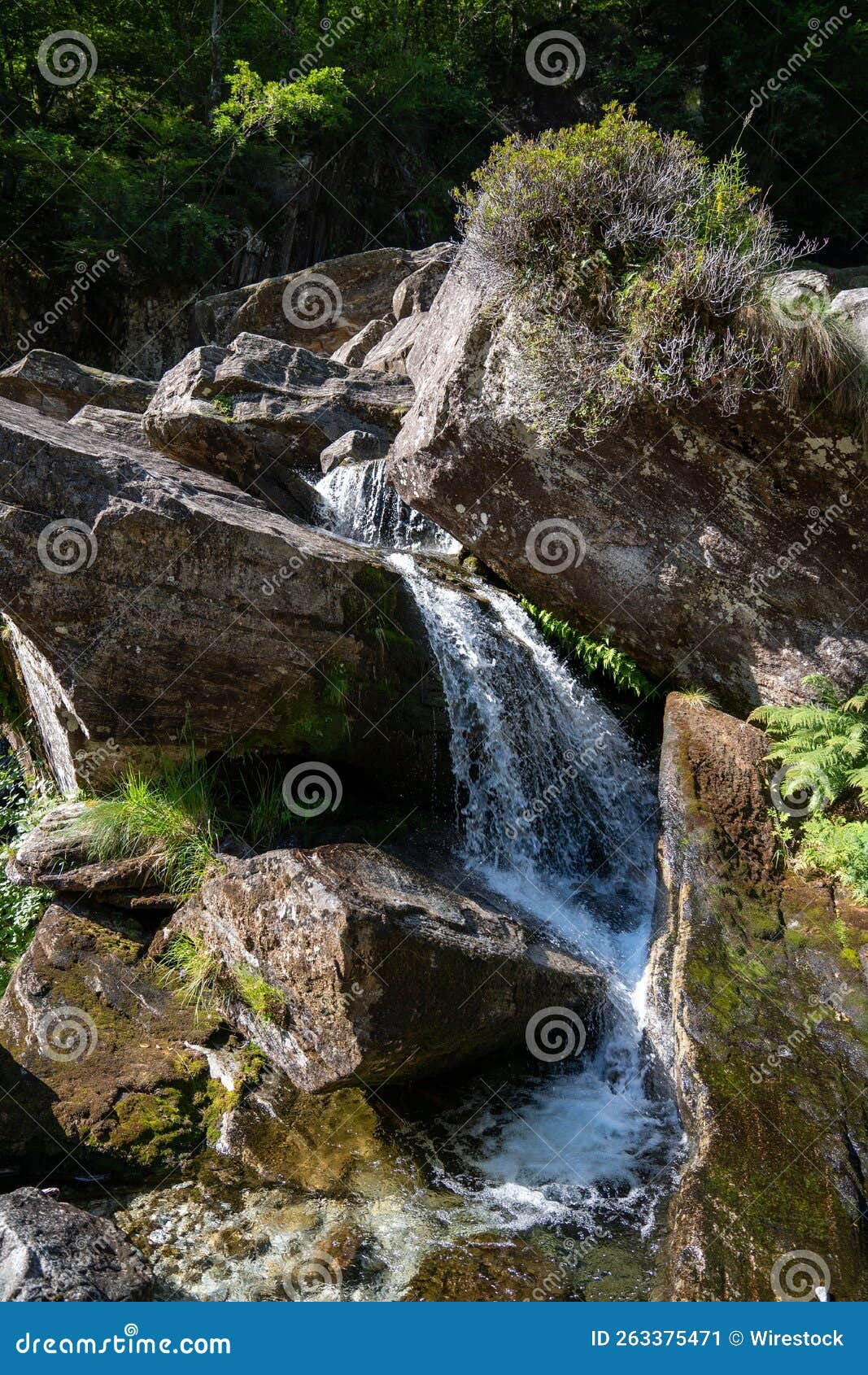 Vertical Shot of Mountainous River Steam Waterfall into Stones with ...