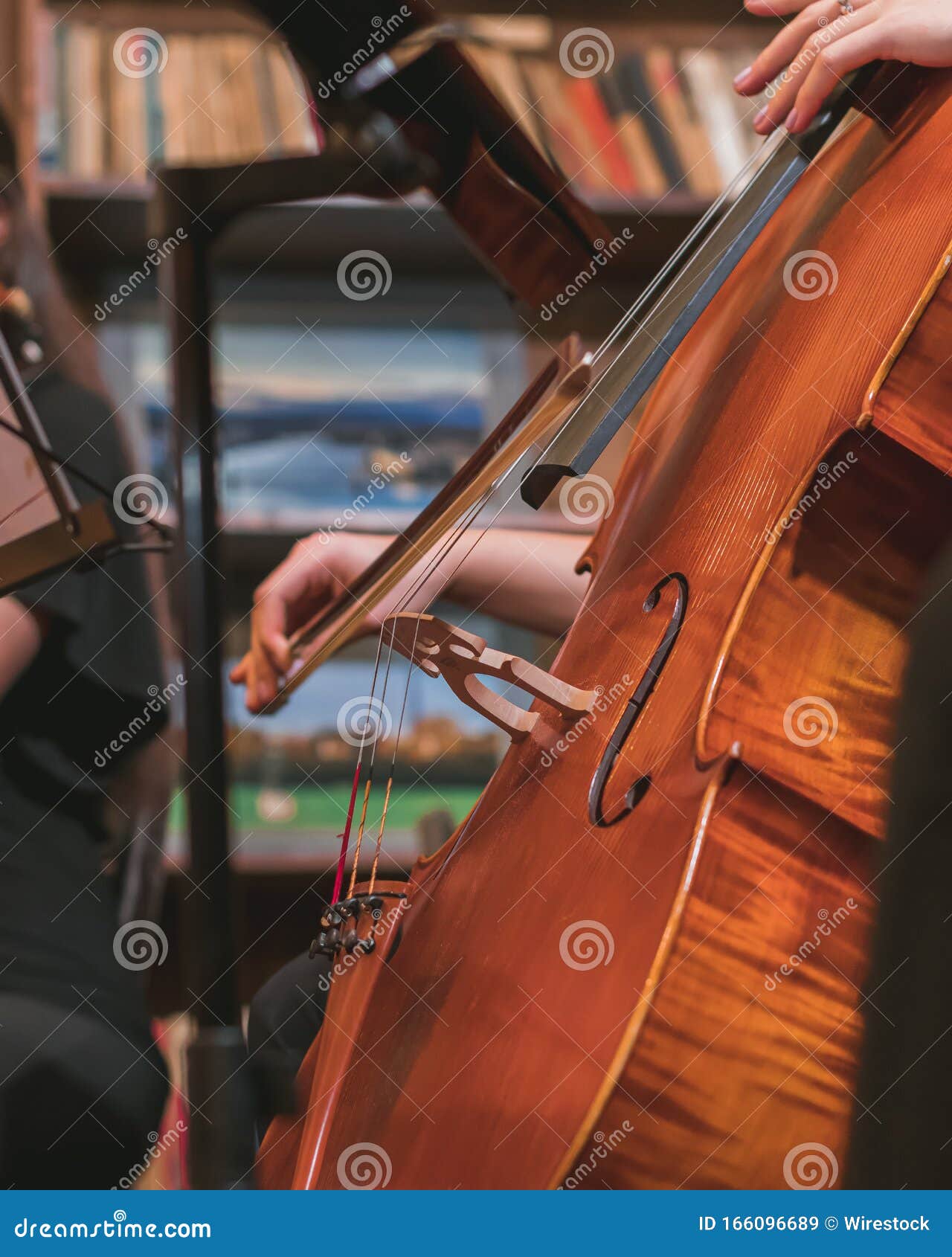 Vertical Shot of a Musician Playing the Violin in an Orchestra Stock ...