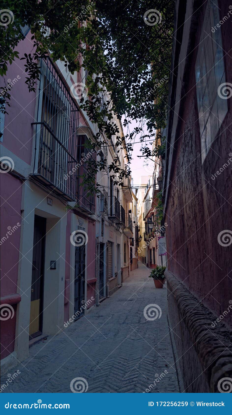 Vertical Shot of a Narrow Passageway between Two Buildings Editorial ...