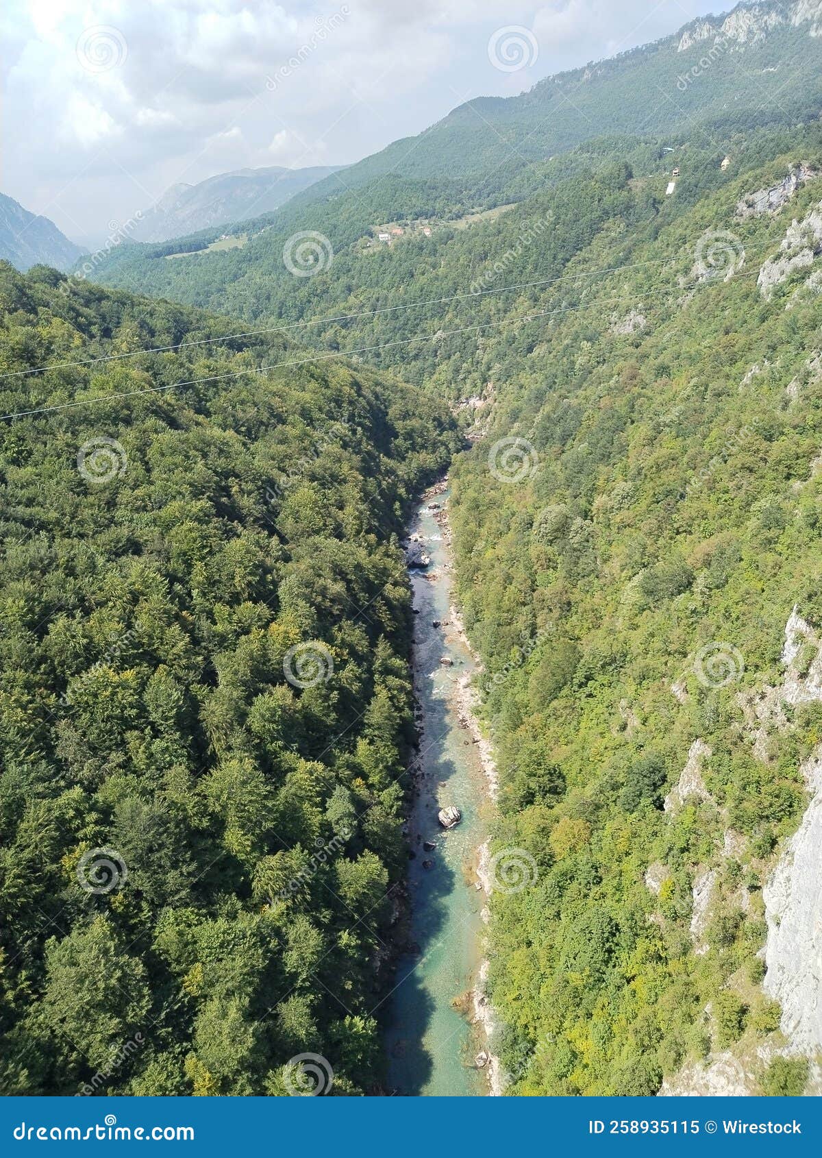 Vertical Shot of a Narrow River Surrounded by Green Lush Trees Stock ...