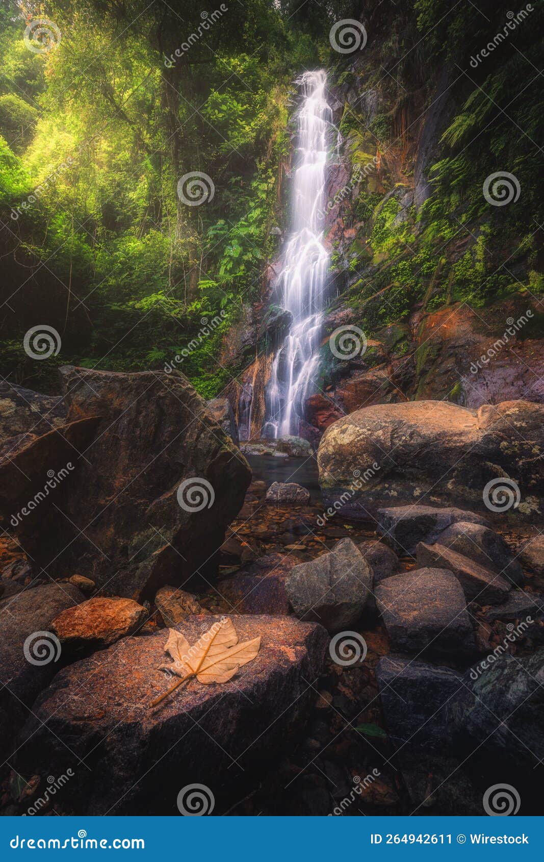 Vertical Shot of a Narrow Waterfall in the Forest Stock Image - Image ...