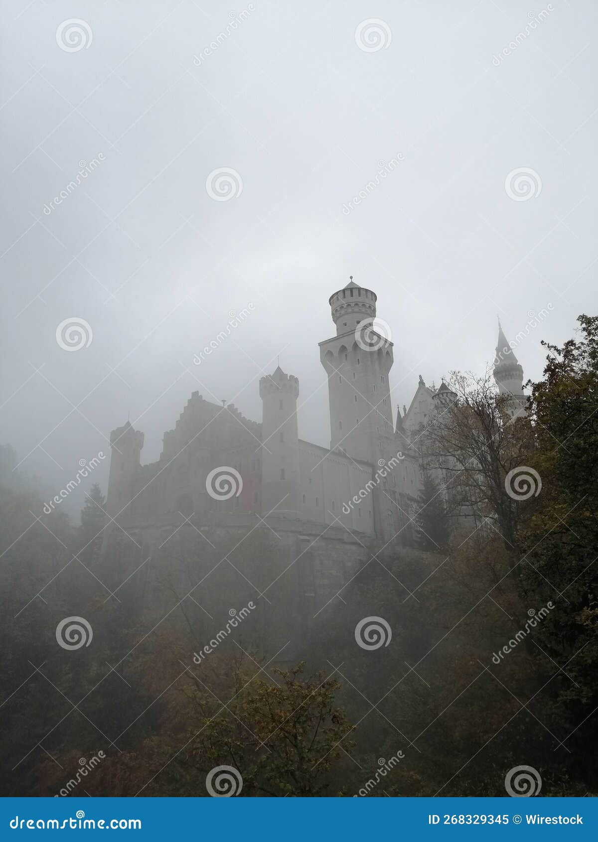 Vertical Shot of the Neuschwanstein Castle in the Mist Stock Image ...