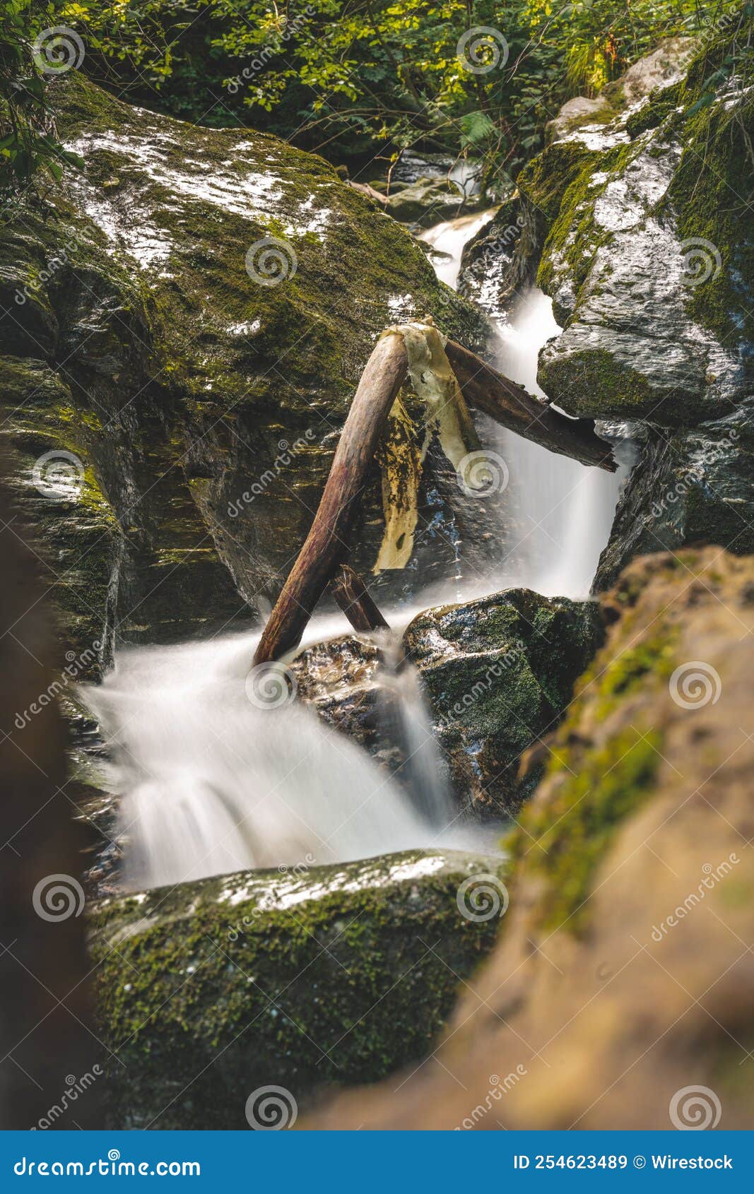 Vertical Shot of a Piece of Clothing Hanging from a Triangular Tree ...