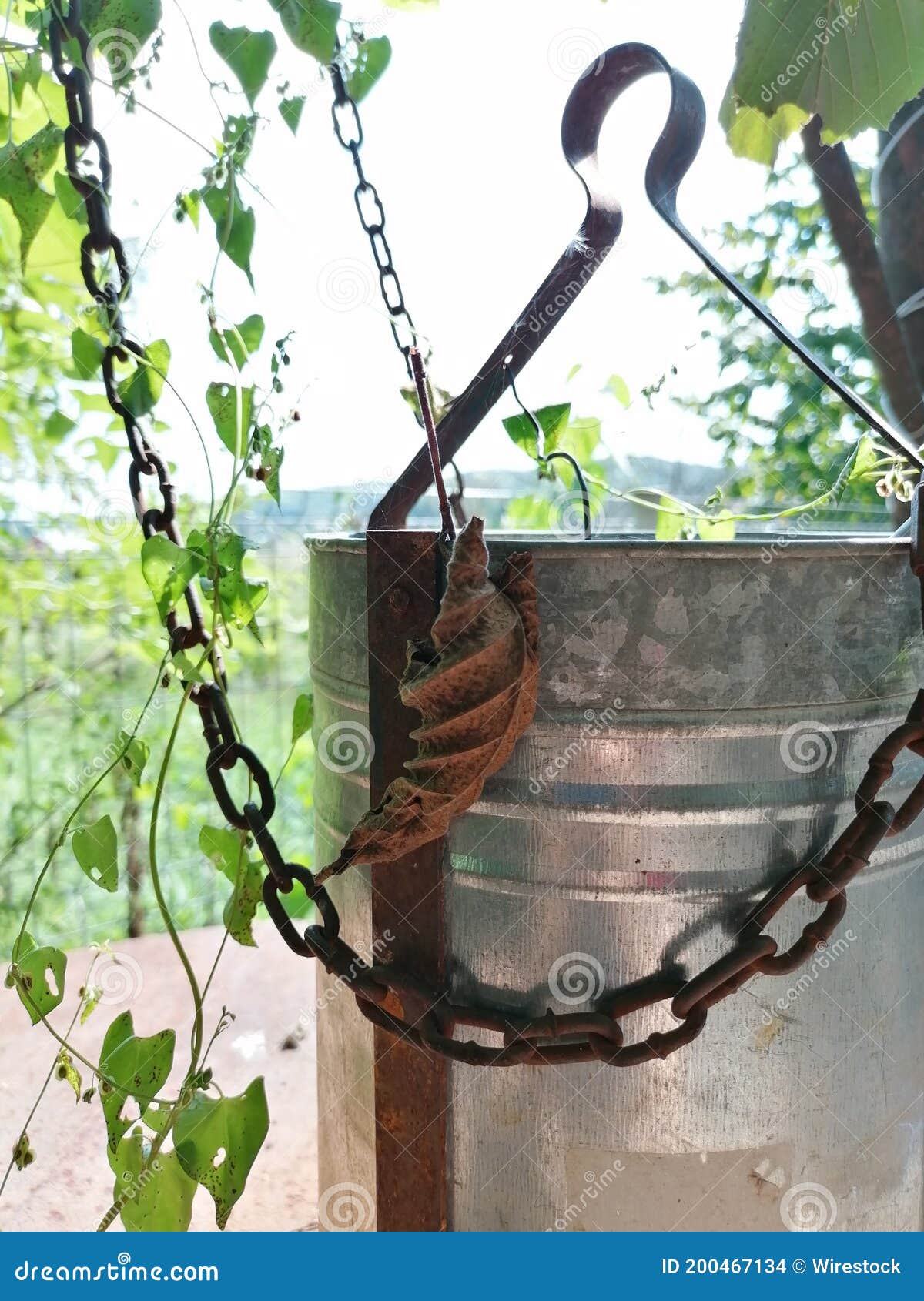 Vertical Shot of an Old Tin Well Bucket with Attached Chains Stock ...