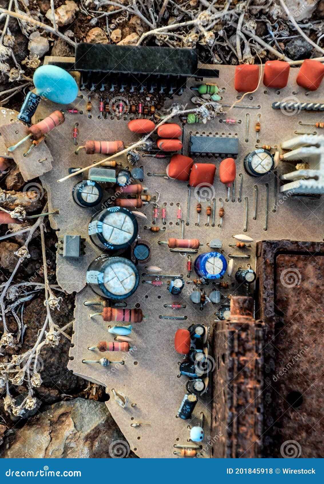 Vertical Shot of an Old Vintage Motherboard Stock Photo - Image of ...