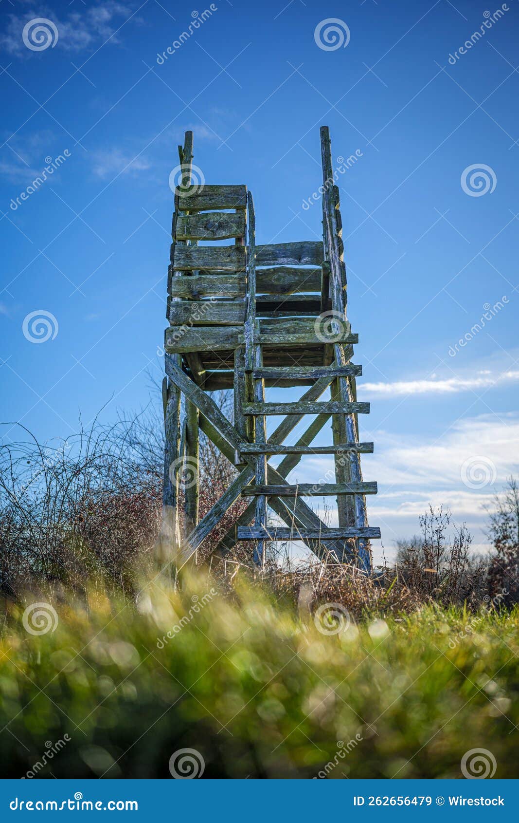 Vertical Shot of an Old Wooden Observation Tower Stock Image - Image of ...