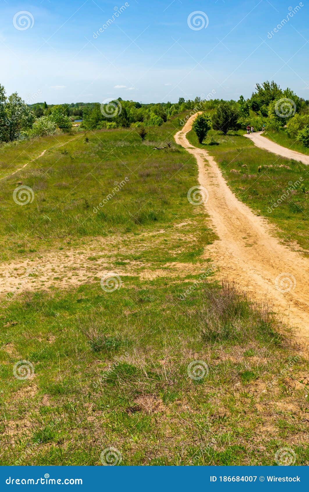 Vertical Shot of an Open Field with Trees and a Dirt Road Captured ...