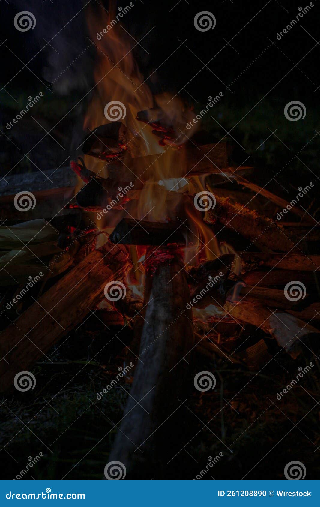 Vertical Shot of the Orange Campfire Burning Beautifully Outdoors Stock ...