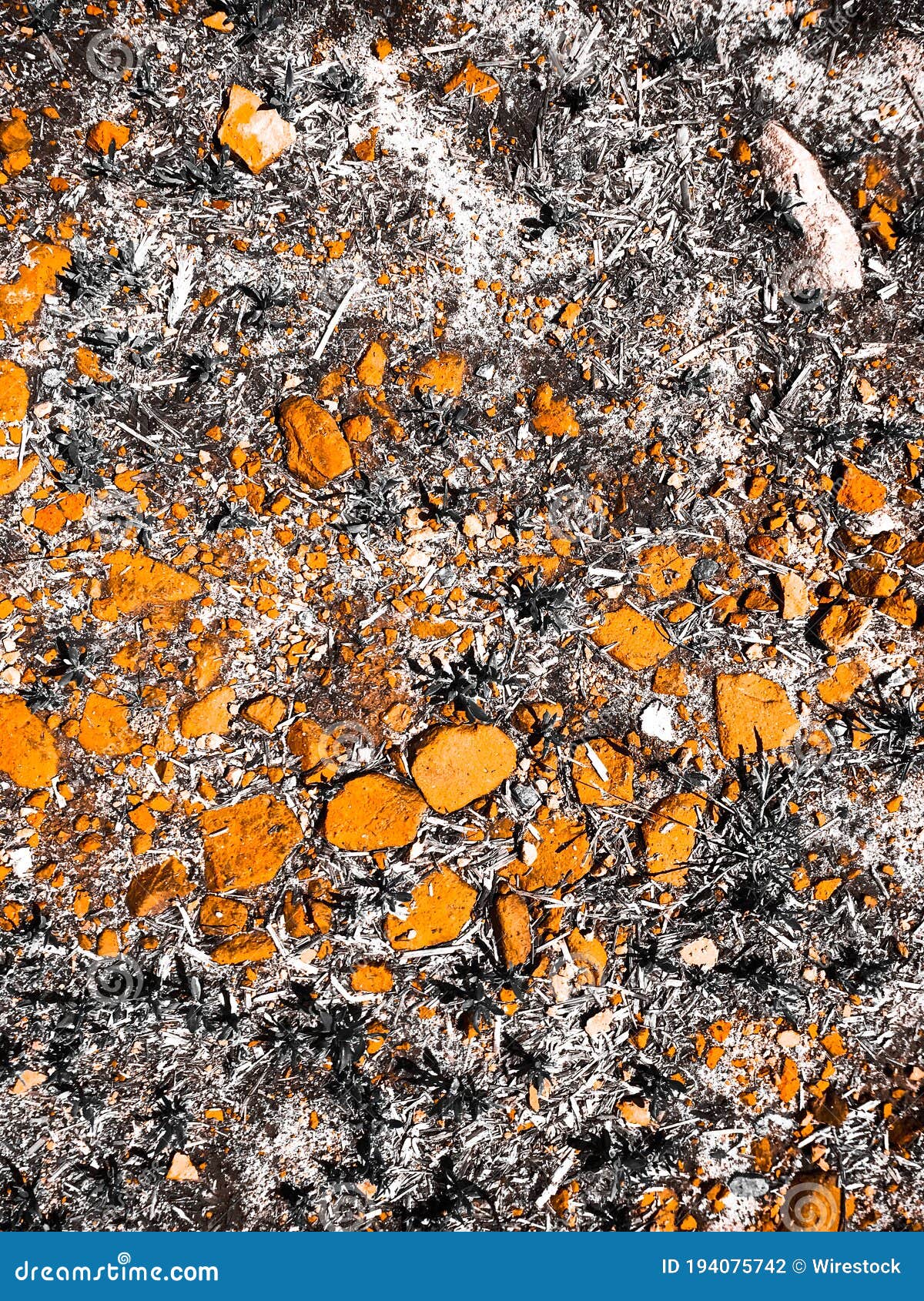 Vertical Shot of Orange-colored Rocks on the Ground Stock Photo - Image ...