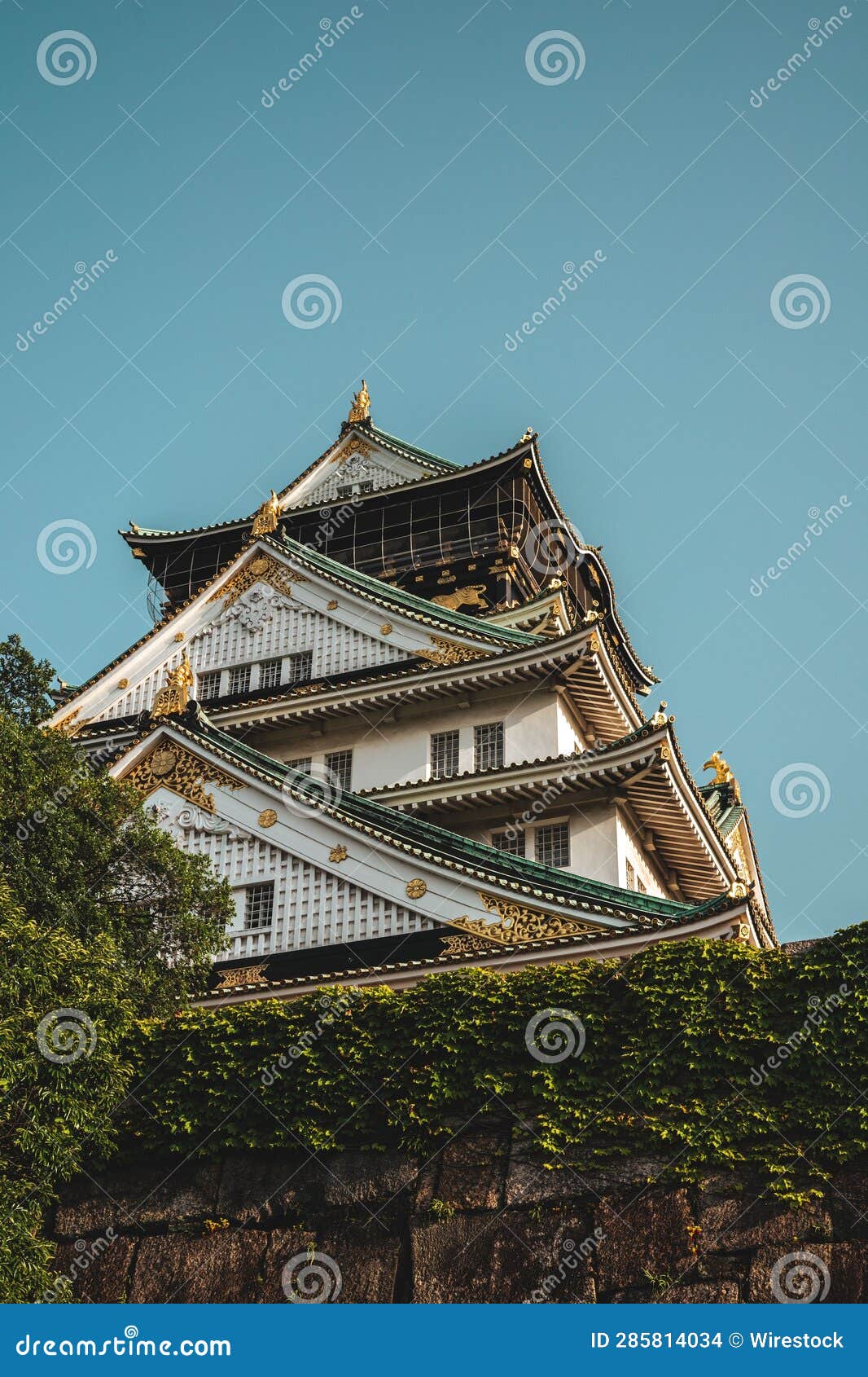 Vertical Shot of the Osaka Castle in the Daylight in Japan Stock Photo ...