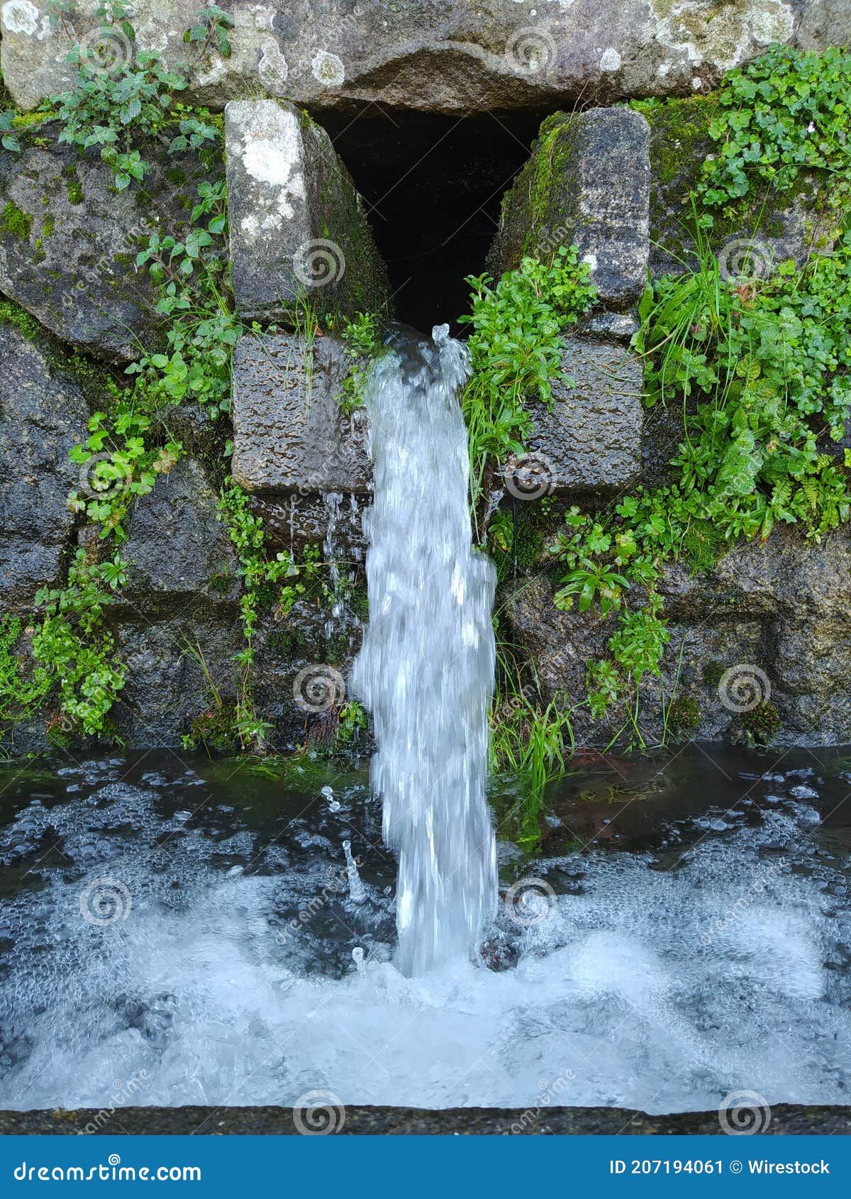 Vertical Shot of an Overflowing Stream with Green on Its Sides Stock ...