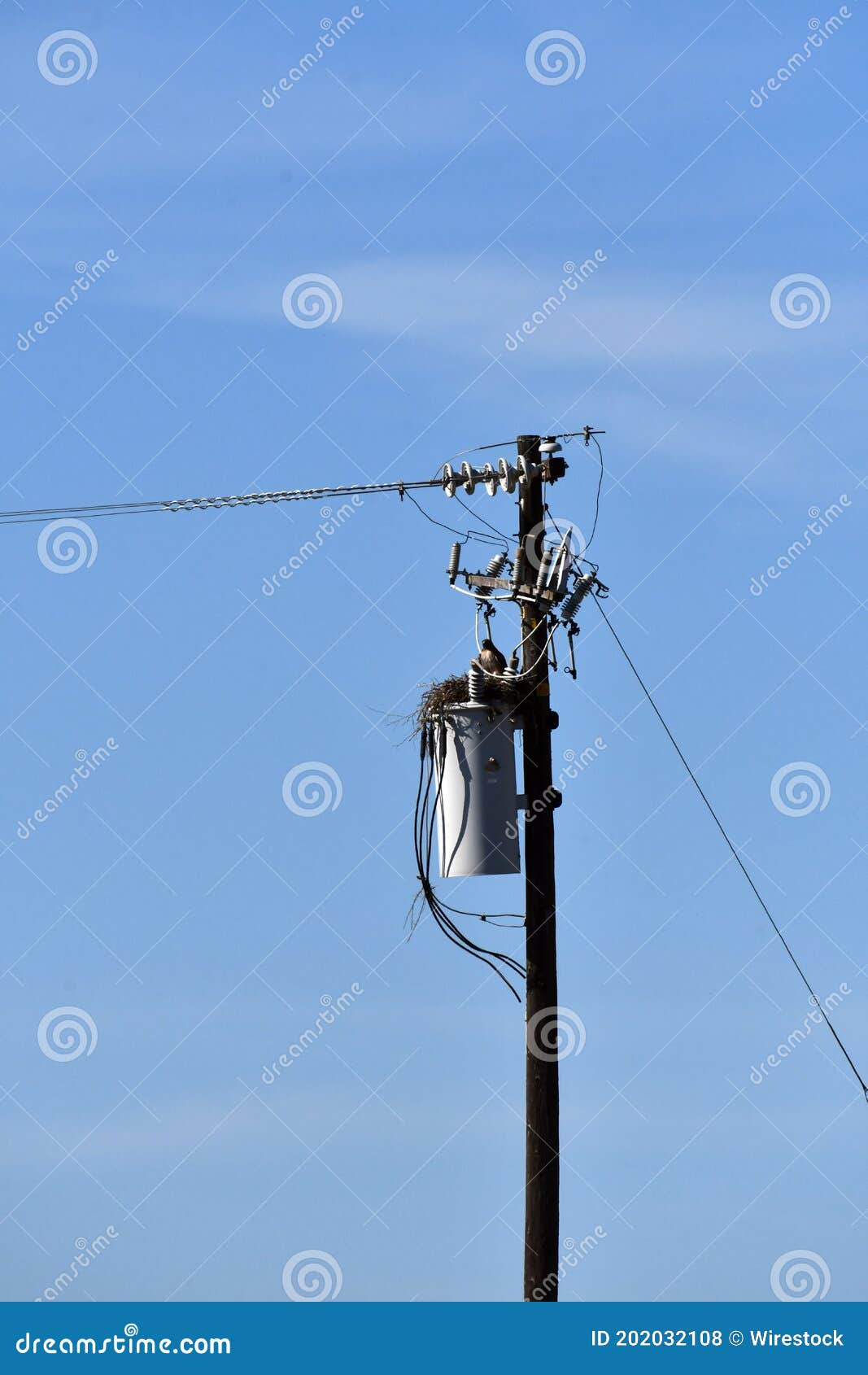 Vertical Shot of Overhead Power Lines on the Background of the Blue Sky ...