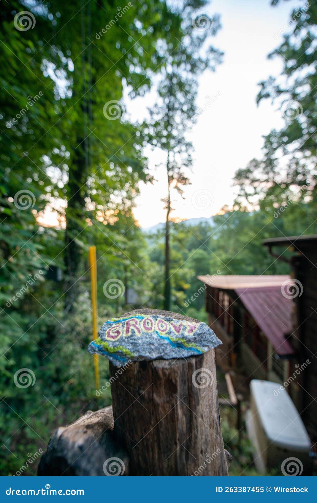 Vertical Shot of a Painted Groovy Sign on a Rock Placed on a Log in a ...