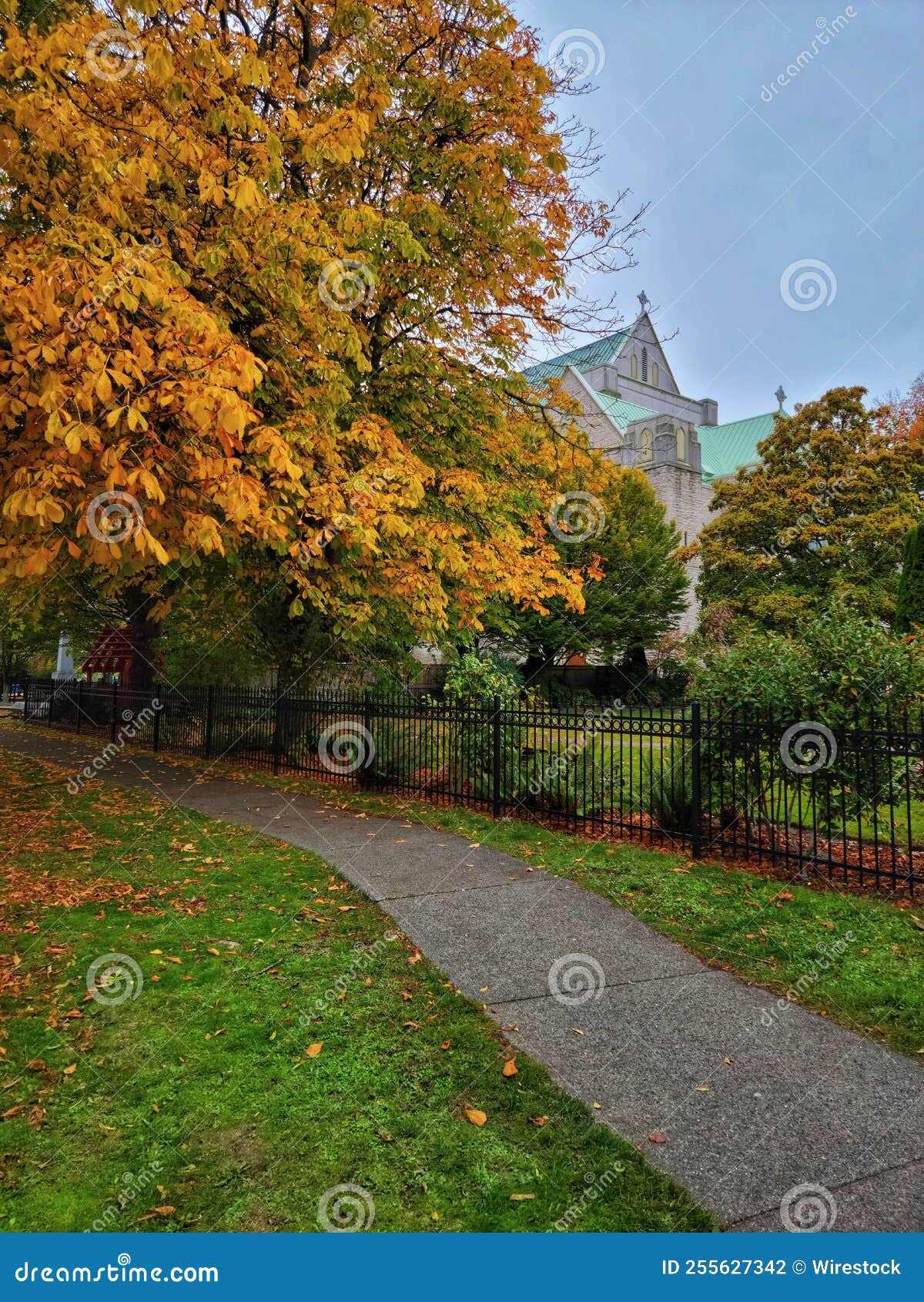 Vertical Shot of a Park Colored with Autumn Trees Stock Photo - Image ...