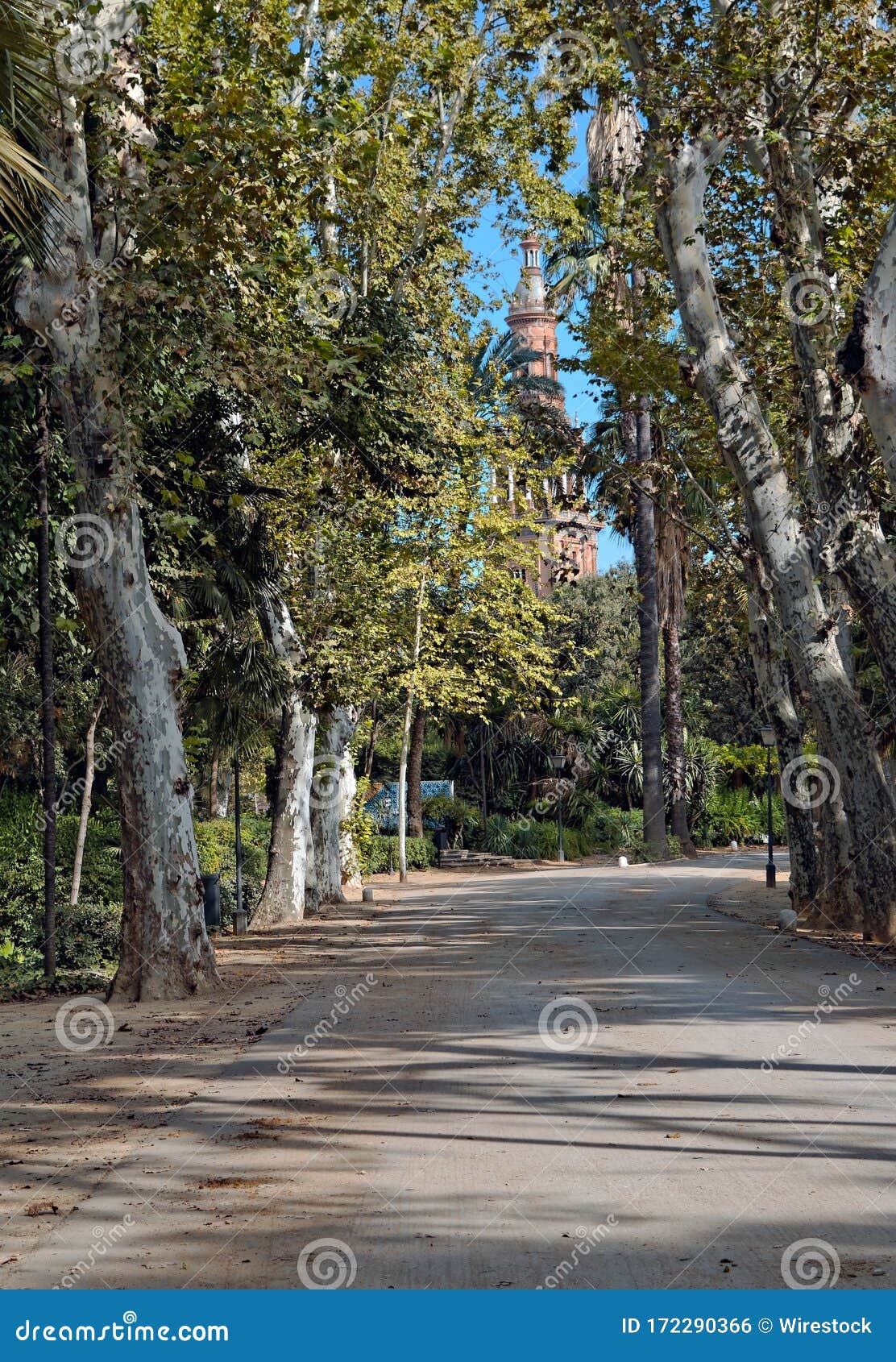 Vertical Shot of a Passageway Around the Park Full of Trees Stock Photo ...