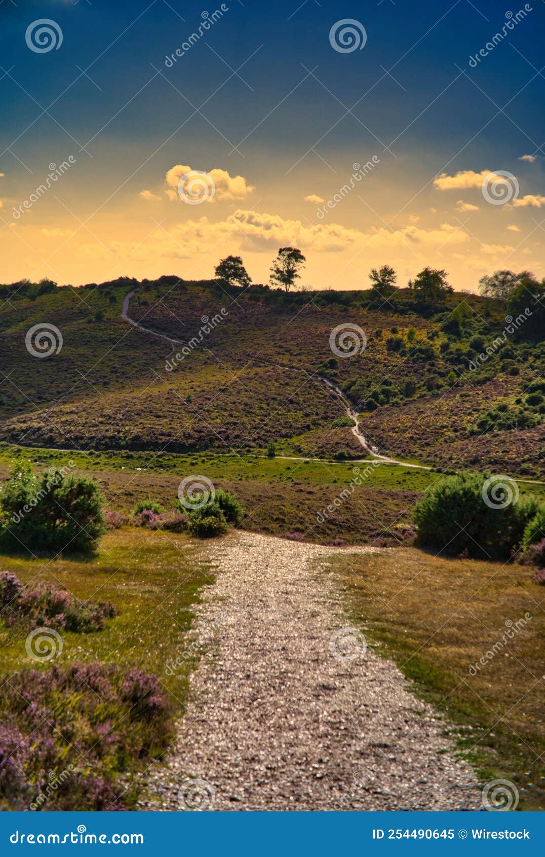 Vertical Shot of a Pathway on a Hill at Sunset Stock Image - Image of ...
