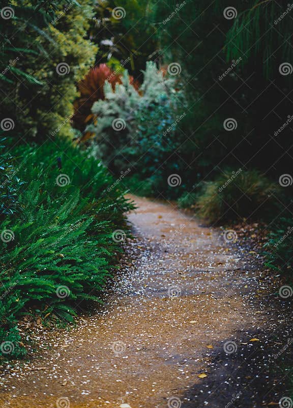 Vertical Shot of a Pathway in a Park Stock Photo - Image of green ...