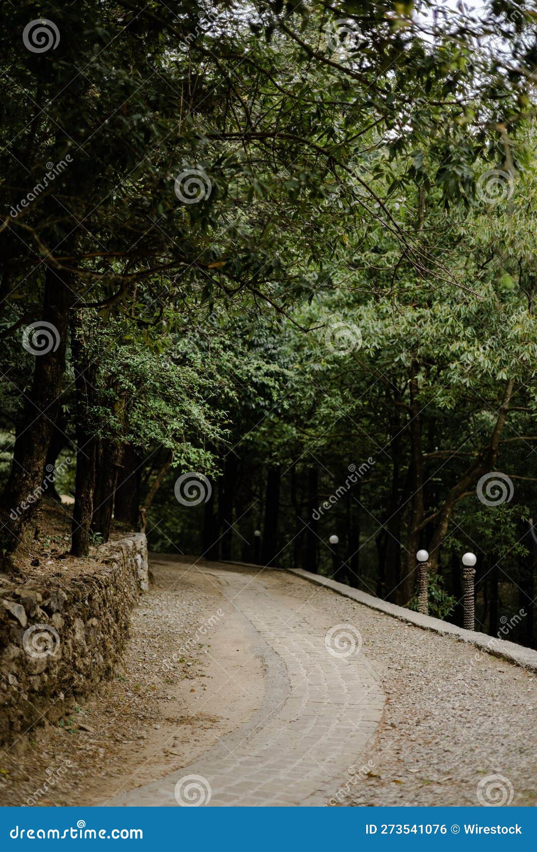 Vertical Shot of a Pathway in a Park Covered in Greenery Stock Photo ...