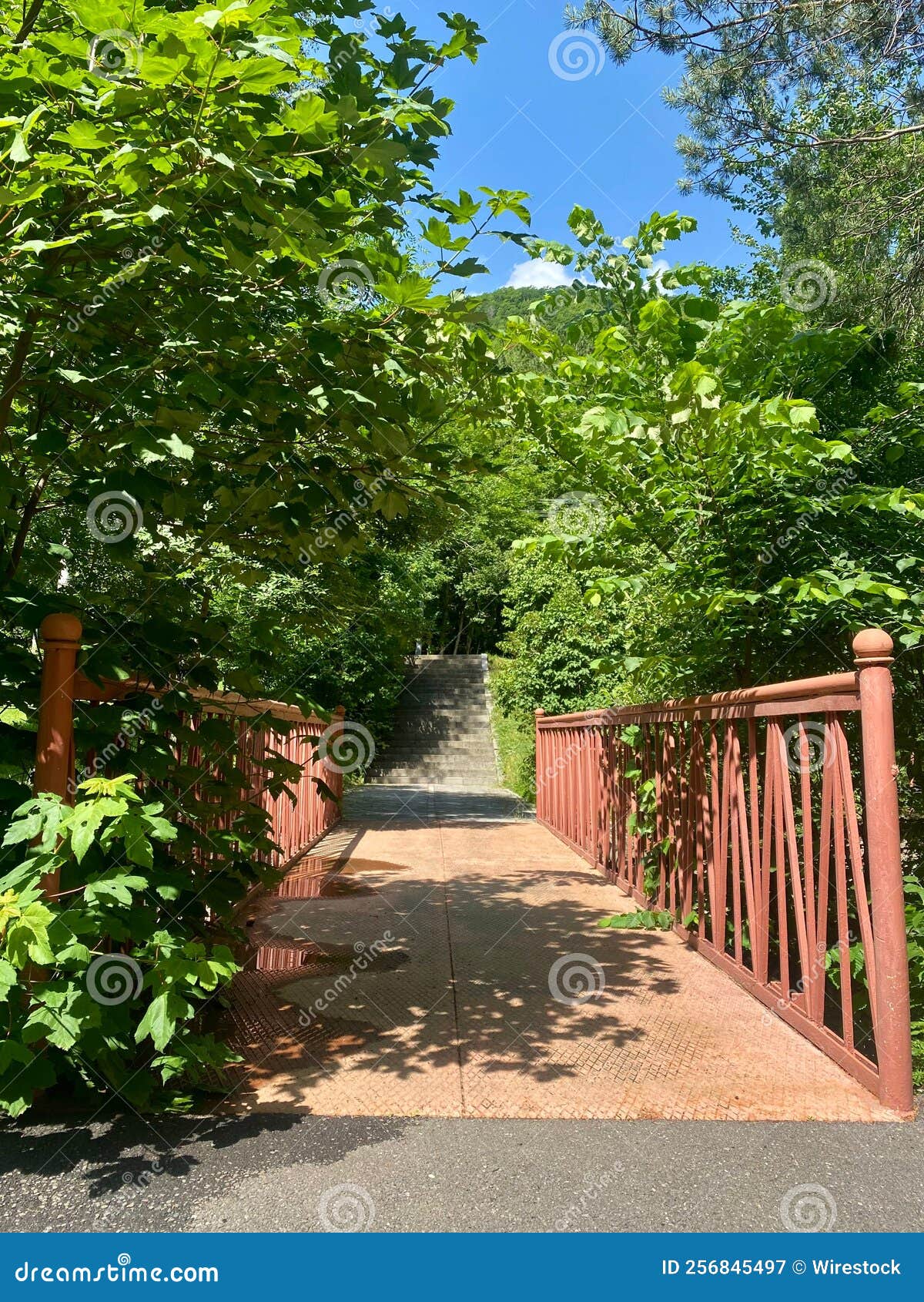 Vertical Shot of a Pathway through a Park Surrounded by Trees Stock ...