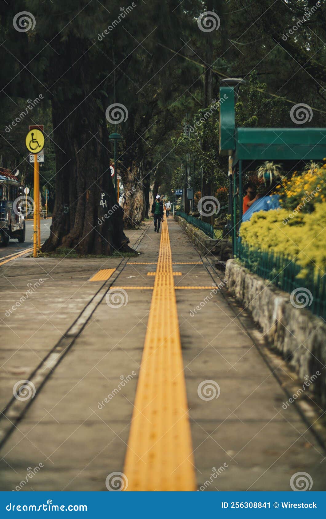 Vertical Shot of a Paved Pedestrian Walkway by the Garden Stock Image ...