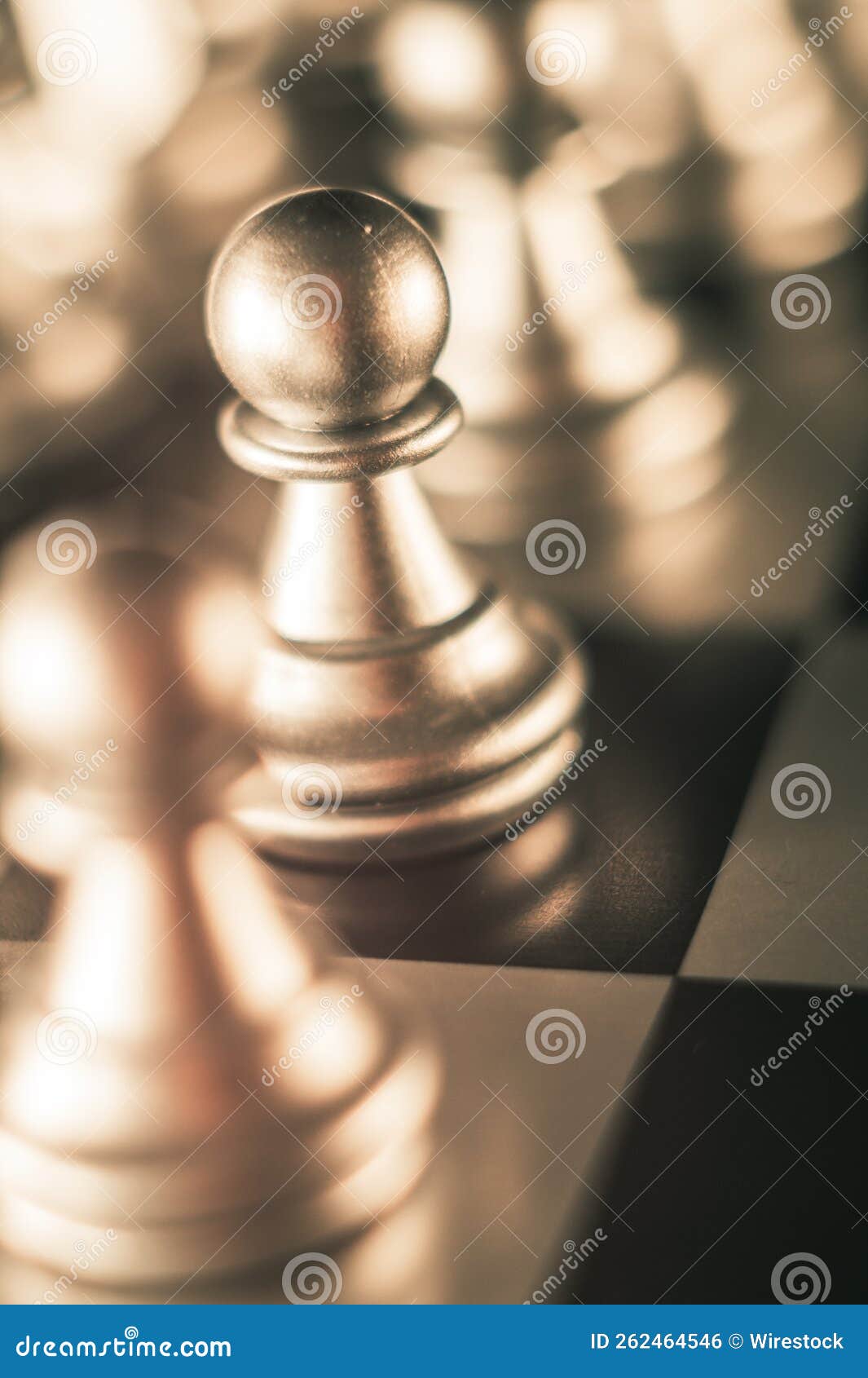 Vertical Shot of a Pawn on a Chess Board Stock Photo - Image of white ...