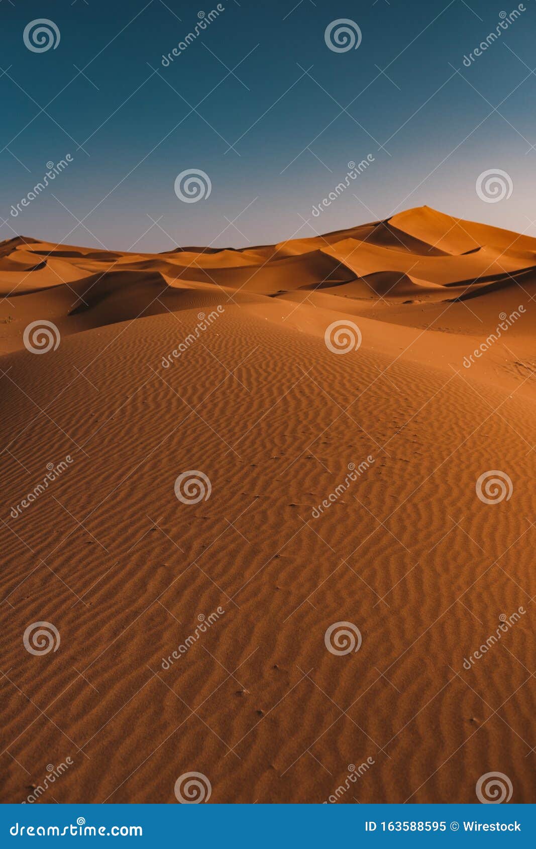 Vertical Shot of a Peaceful Desert Under the Clear Blue Sky Captured in ...