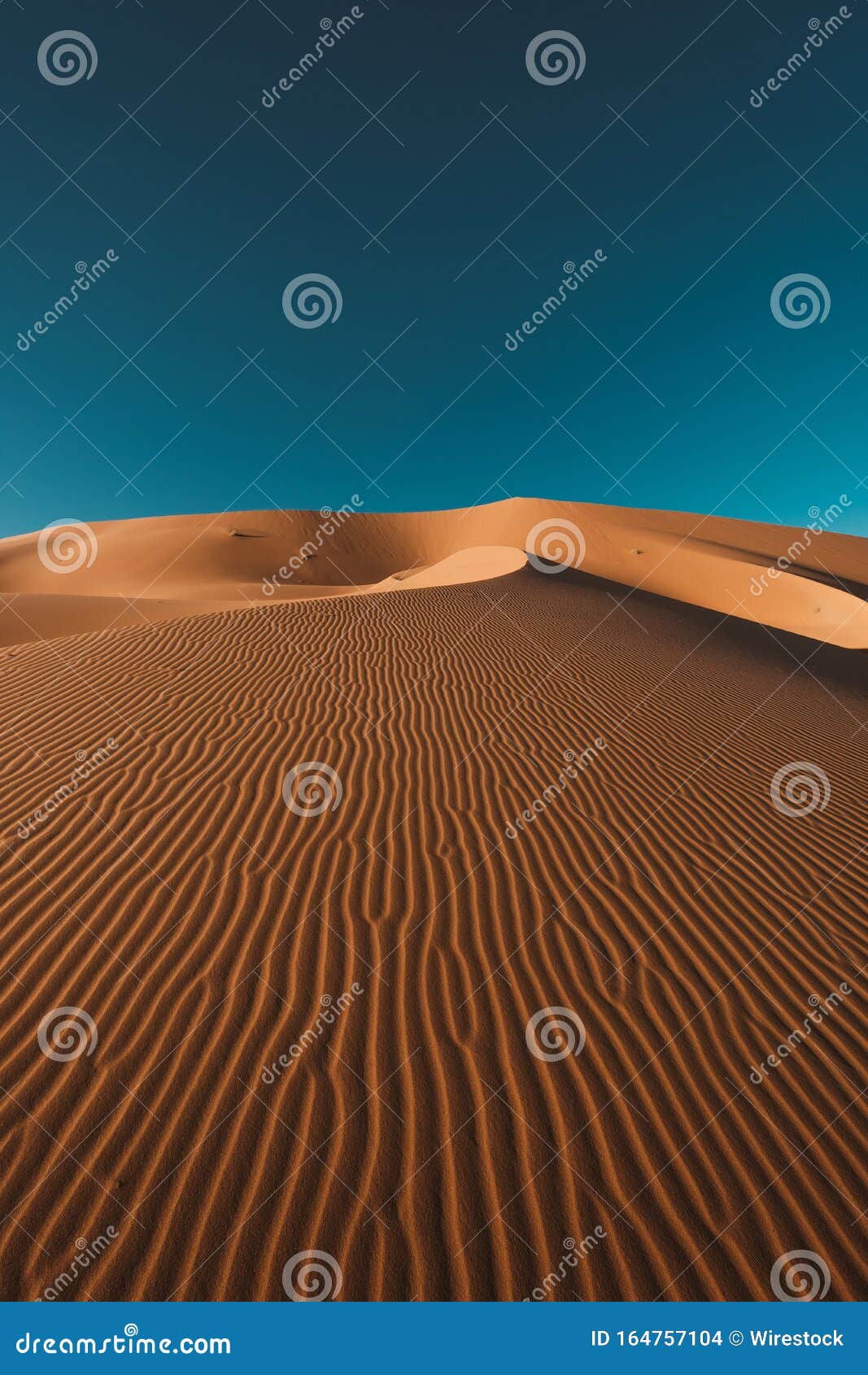 Vertical Shot of a Peaceful Desert Under the Clear Blue Sky Captured in ...