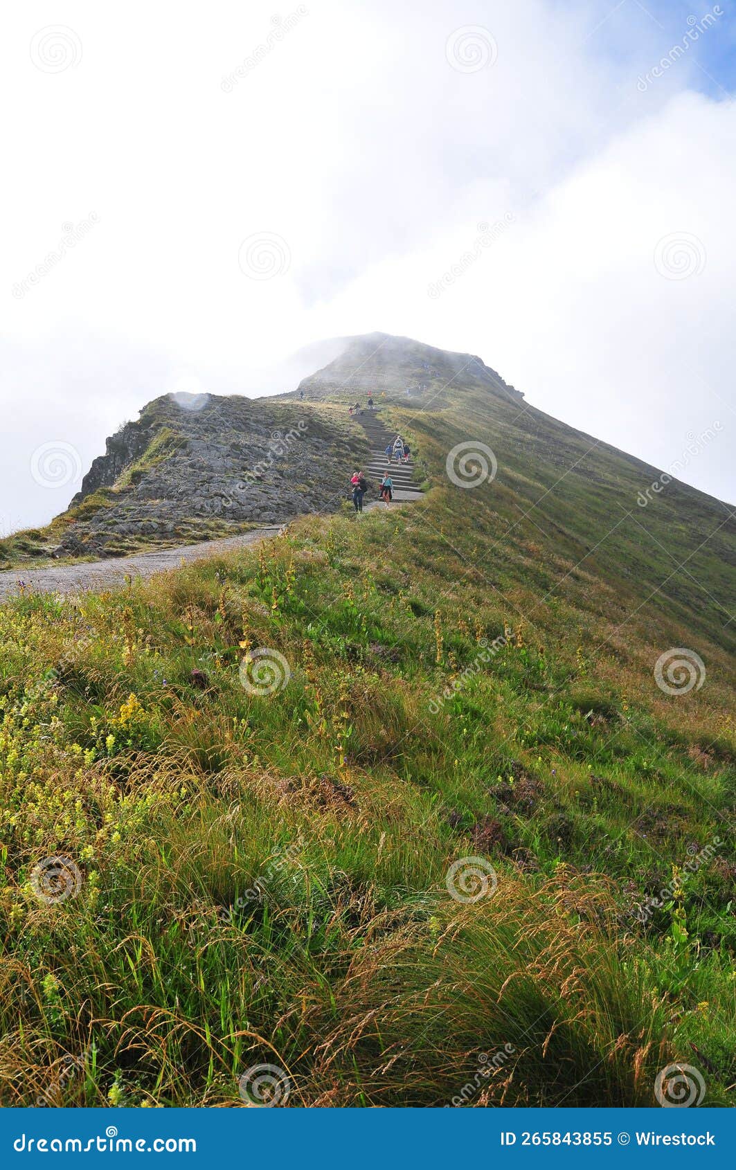 Vertical Shot of the People on a Footpath on a Green Hill. Stock Image ...