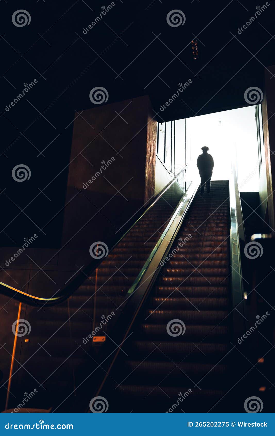 Vertical Shot of the Person from Behind on the Underground Escalator ...