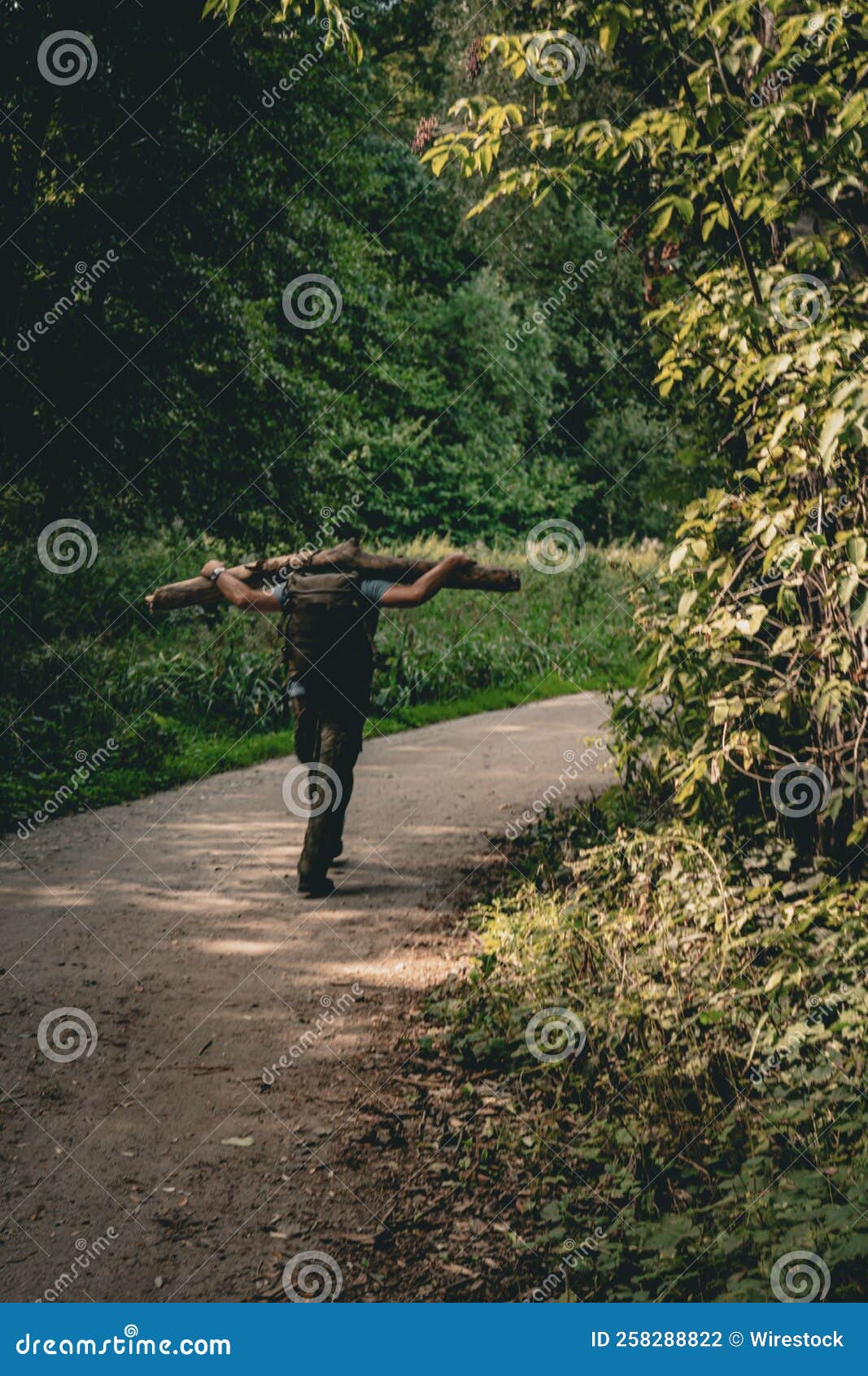 Vertical Shot of a Person Carrying a Huge Trunk in a Forest Stock Photo ...