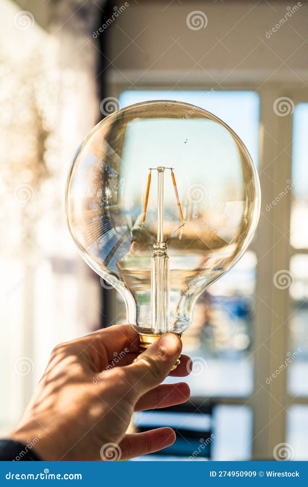 Vertical Shot of a Person Holding a Light Bulb in Their Hands Stock ...